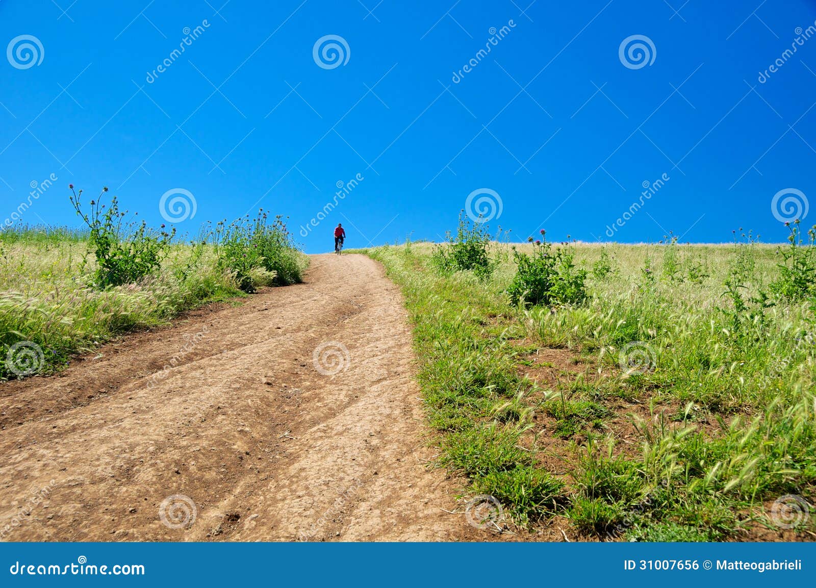 Trail Going Up, Caffarella, Roma, Italy Stock Photo - Image of hard ...