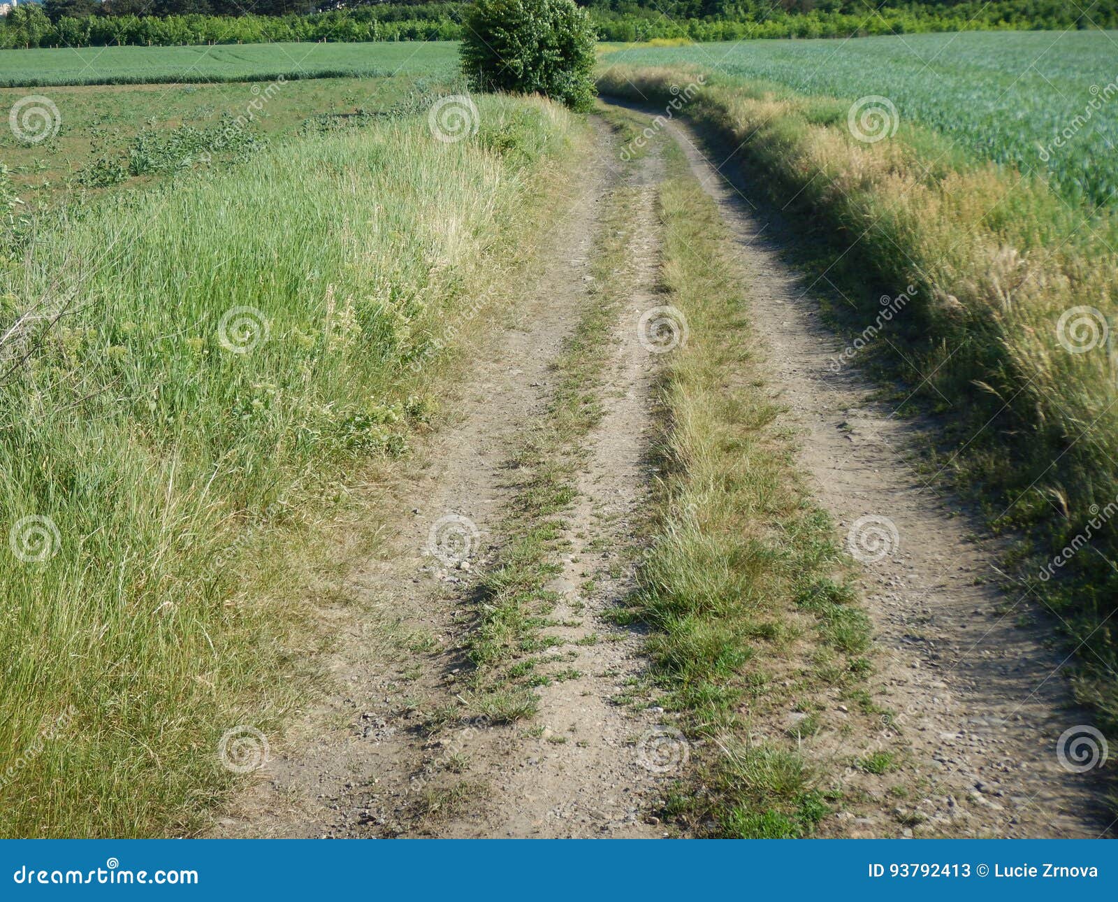 Trail in a Green Field and Nature Stock Image - Image of cloudscape ...