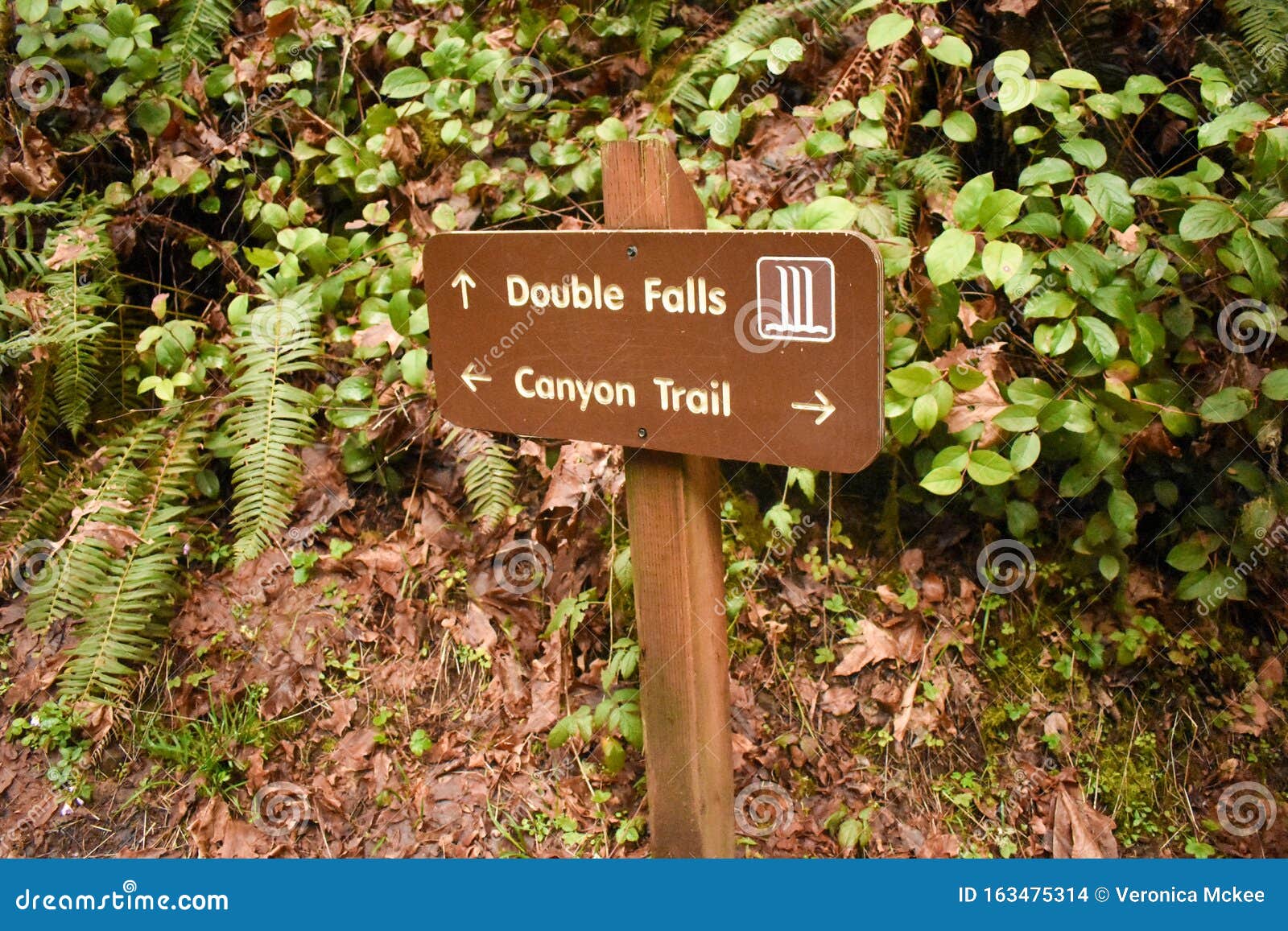 The Trail Head Sign for the Waterfalls at Silver Falls State Park Stock ...