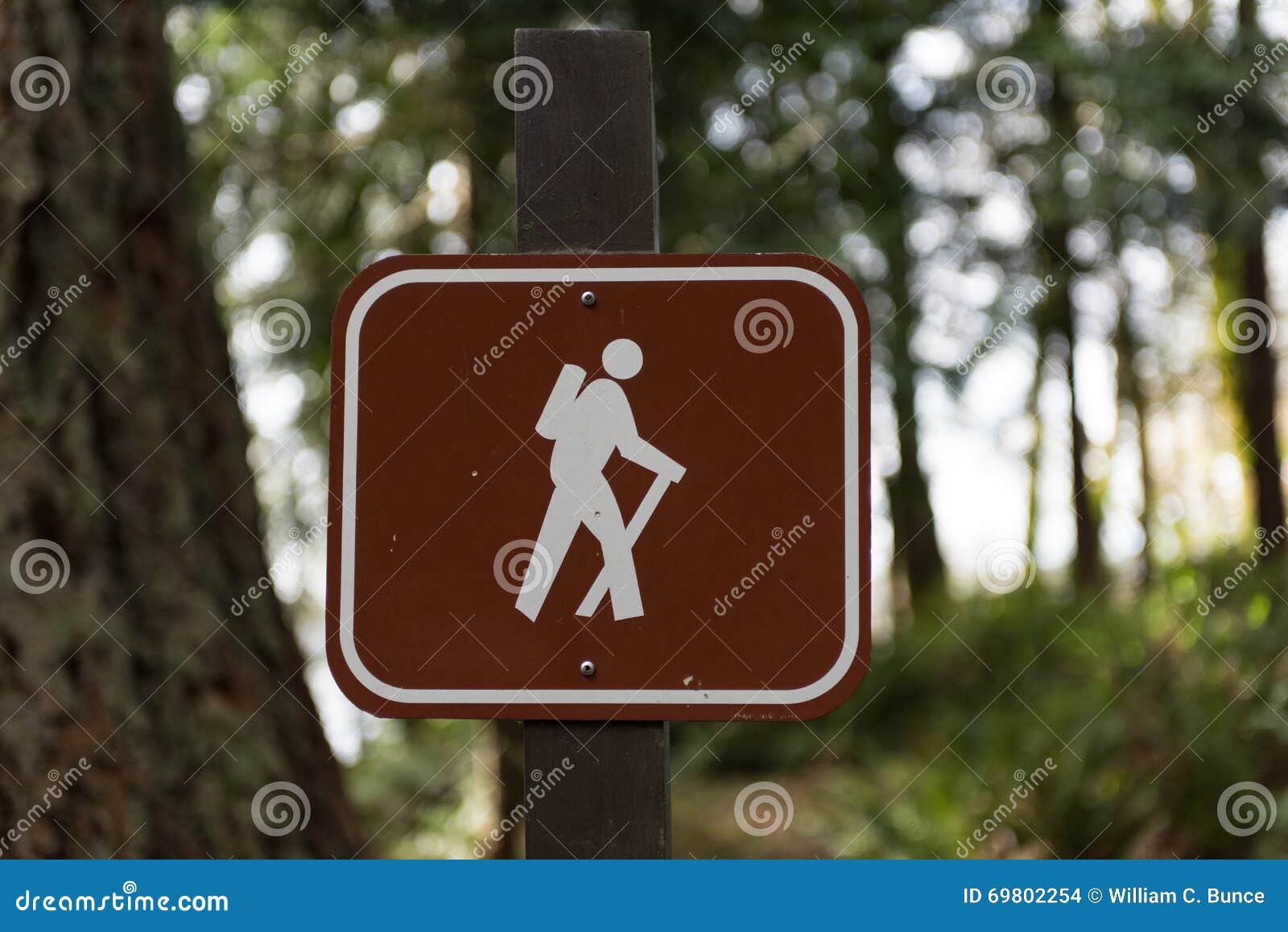 Trail head stock photo. Image of head, brown, forest - 69802254