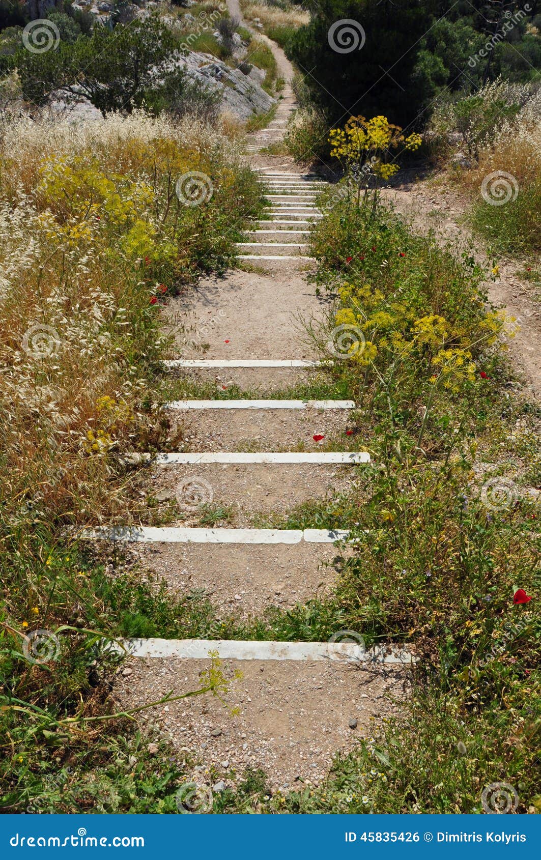 Trail on hill slope stock photo. Image of descent, hike - 45835426