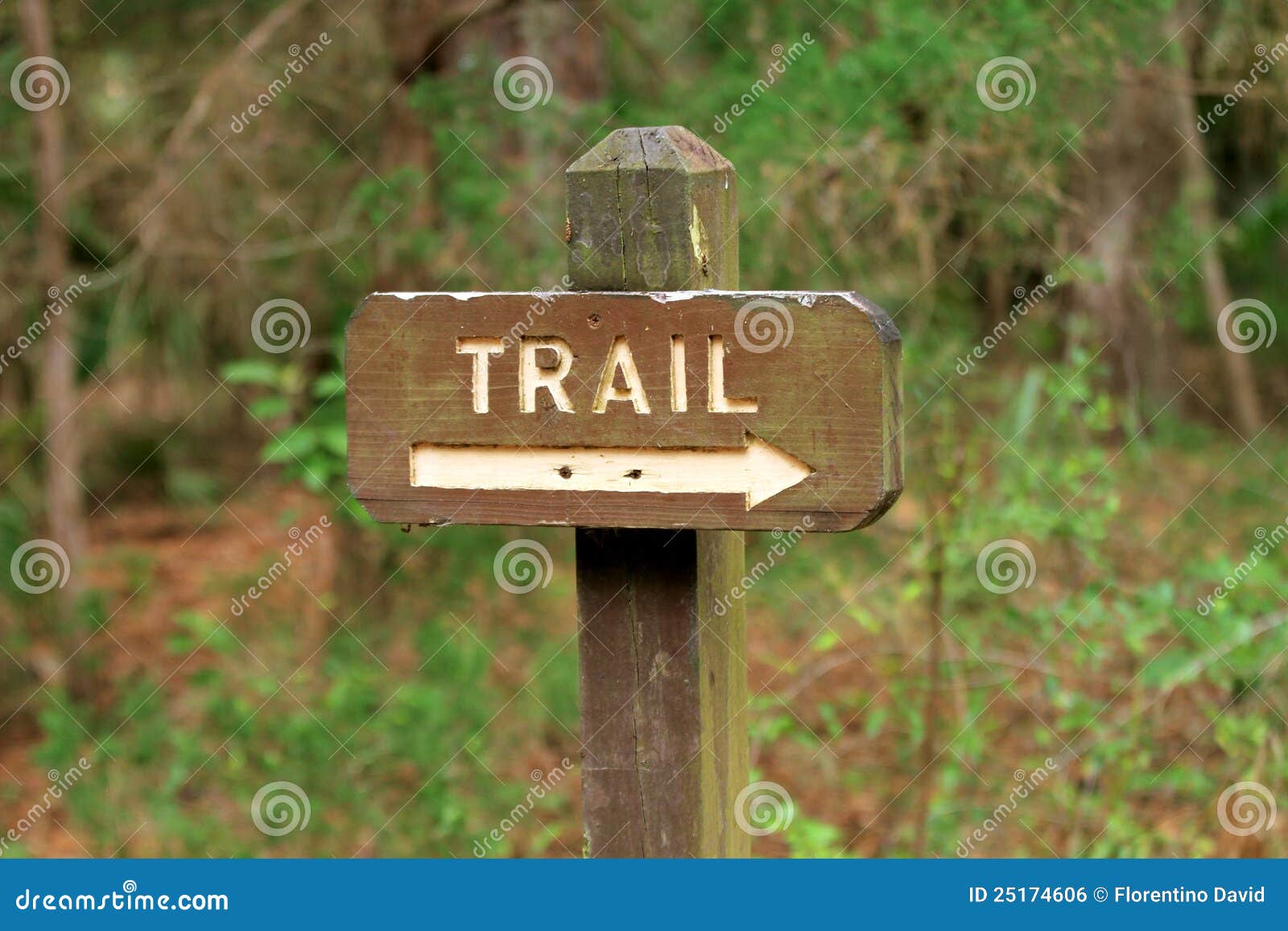 Trail marker stock photo. Image of path, hiking, forest - 25174606
