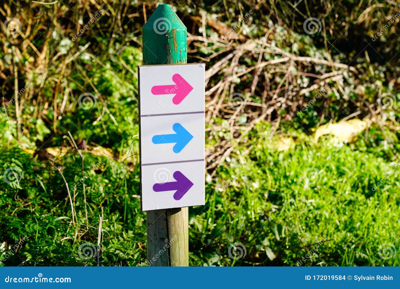Trail Marker Path Sign Post Wooden Track Pointer in the Forest Stock ...