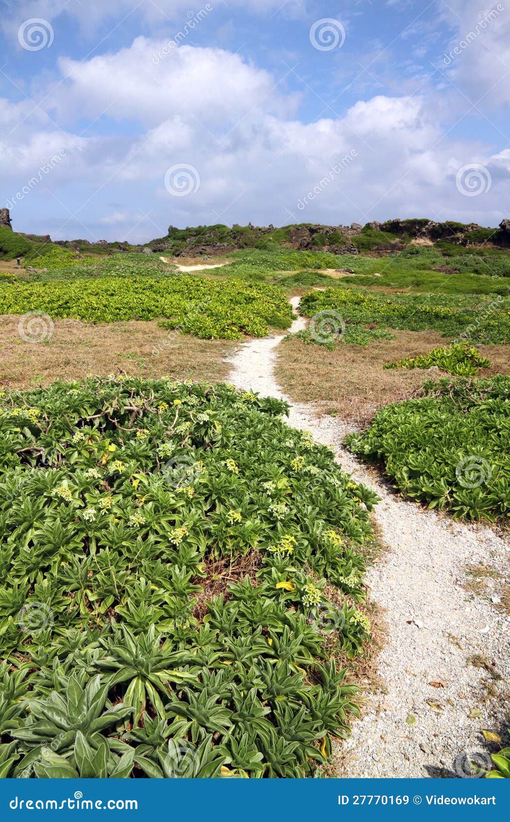 Trail through meadow stock image. Image of rural, footpath - 27770169