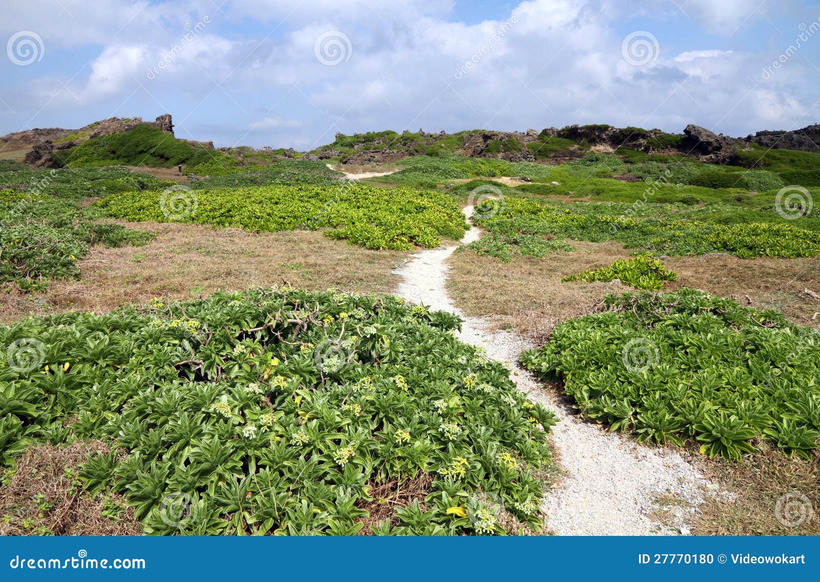 Trail through meadow stock photo. Image of exploration - 27770180