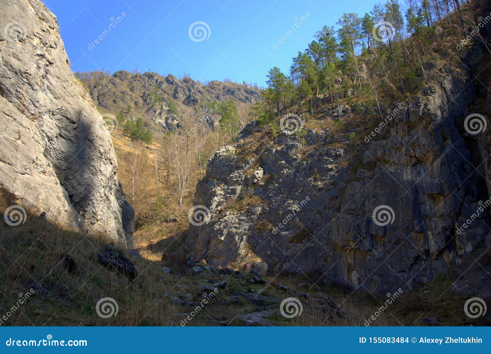 A Trail in a Mountain Gorge, among the Hillsides Covered with Forest ...