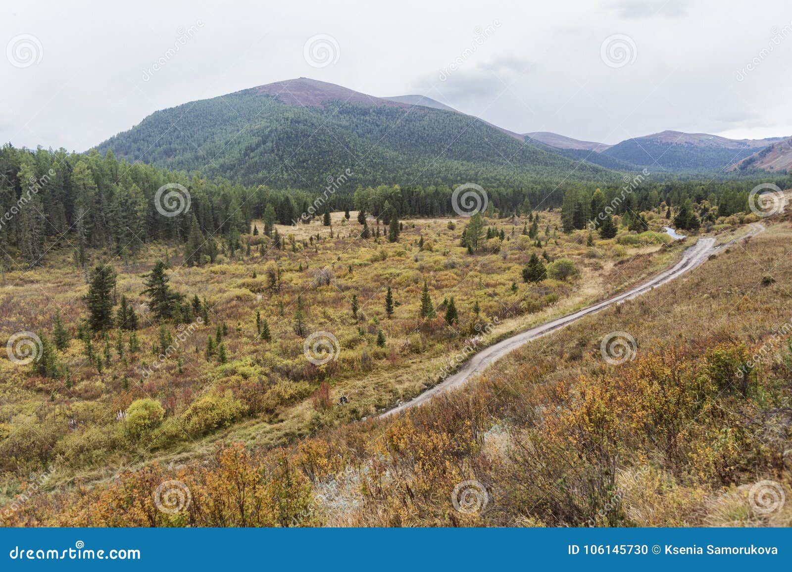 Trail in Mountain Walley. Altai Trekking Stock Photo - Image of autumn ...