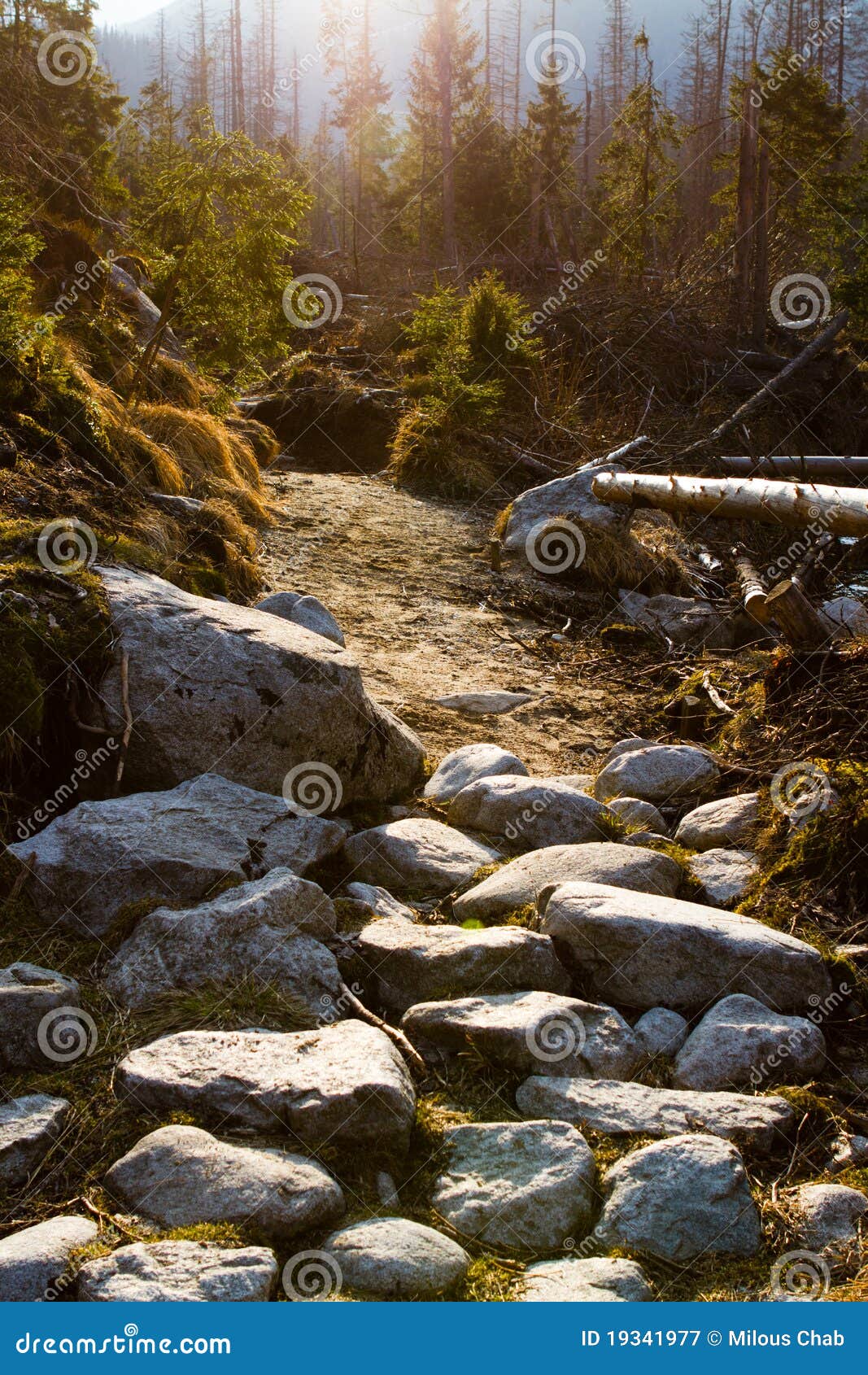 Trail in the mountains stock image. Image of stone, rock - 19341977