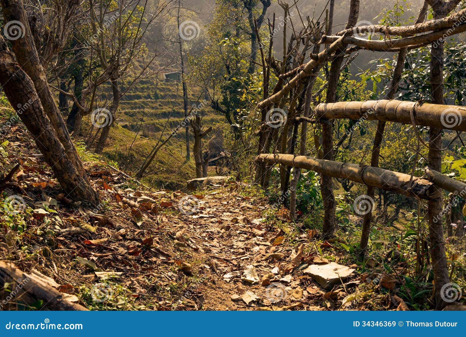 Trail in Nepal stock image. Image of path, mountain, land - 34346369