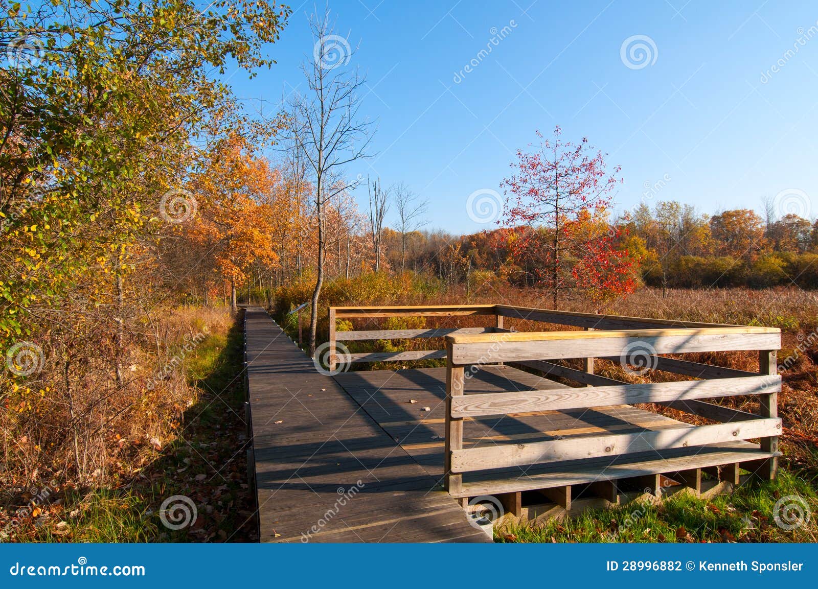 Trail overlook stock photo. Image of foliage, fence, outdoor - 28996882