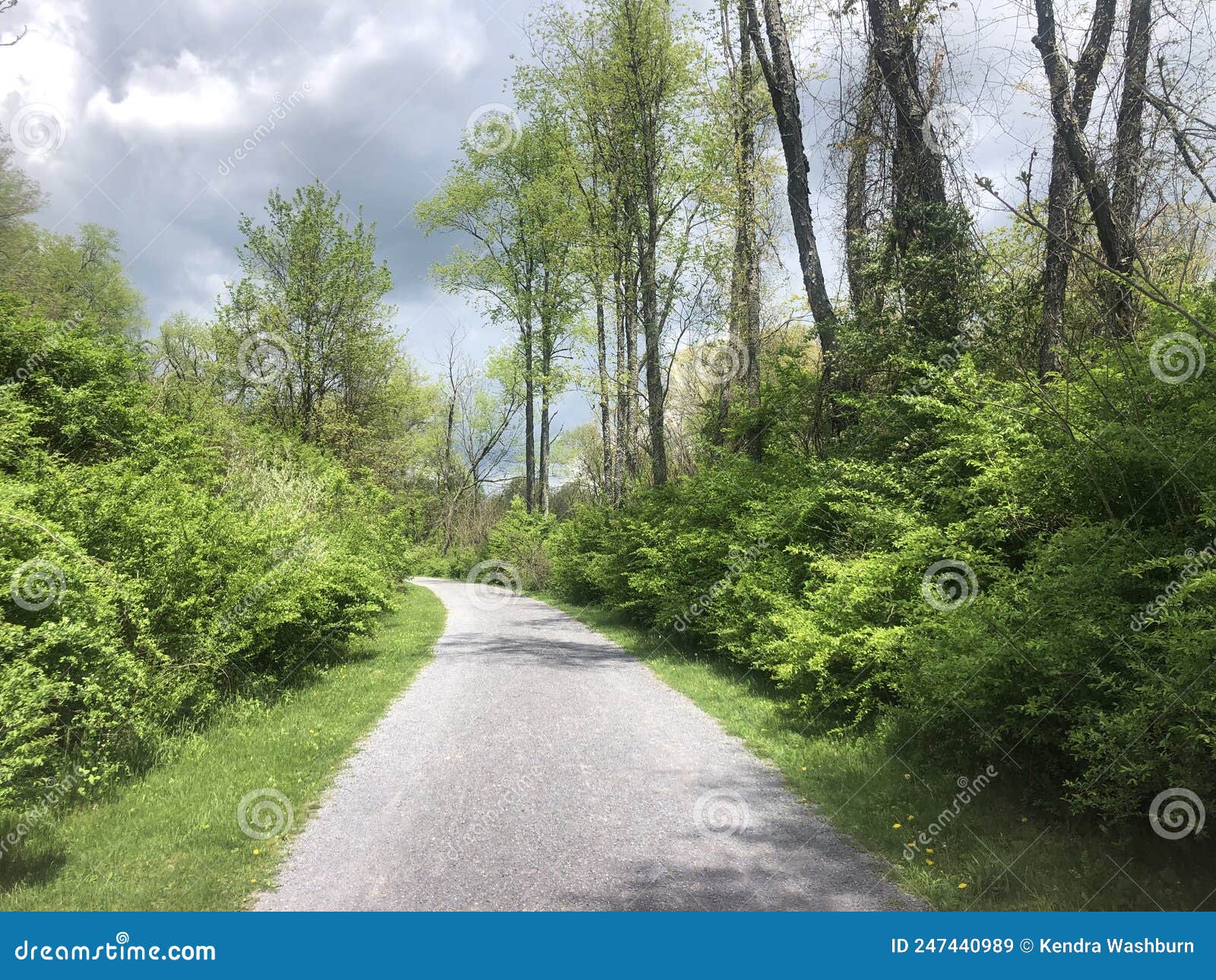 Pennsylvania Path in Spring Stock Image - Image of 2022, early: 247440989