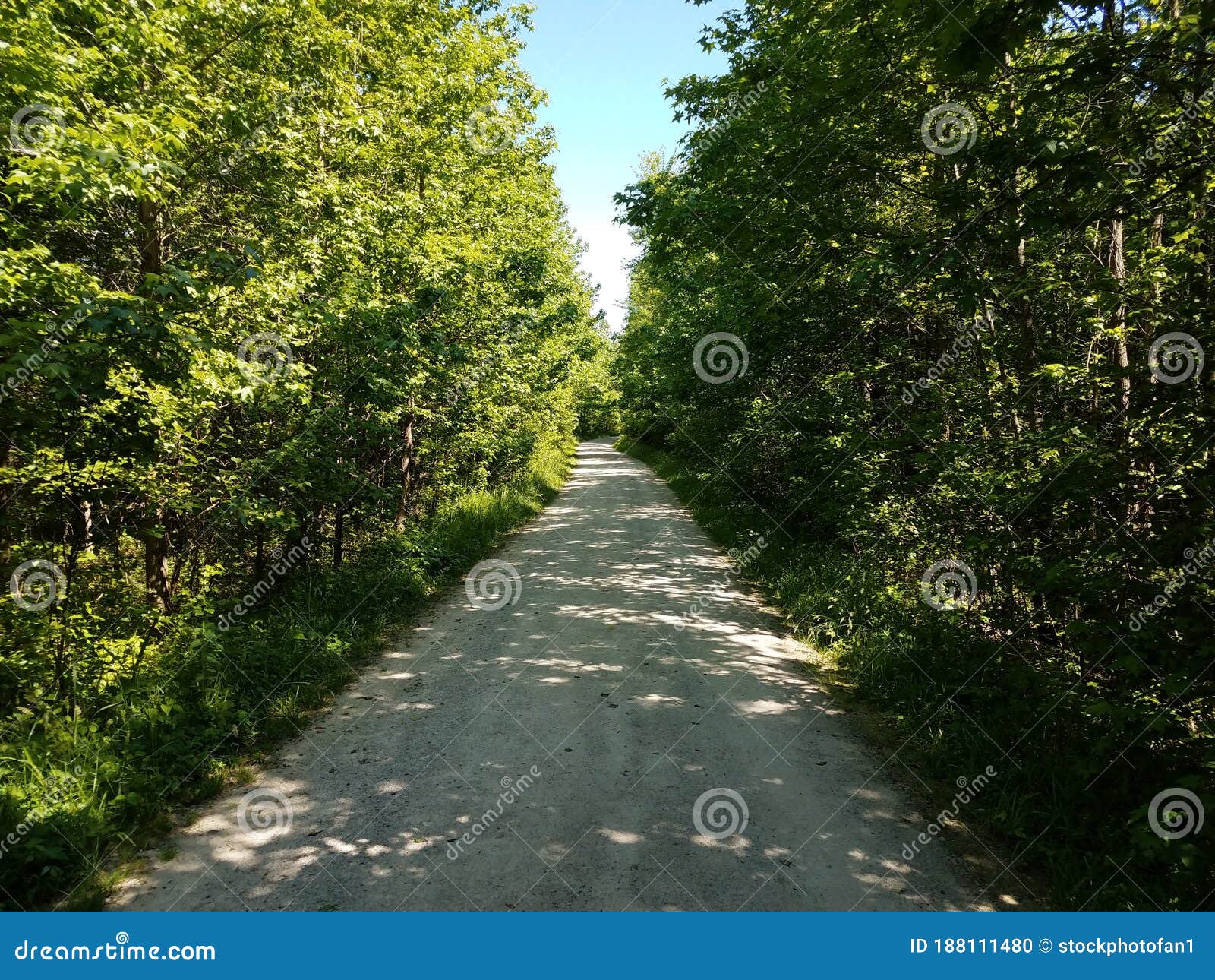 Trail or Path with Green Trees and Plants Stock Photo - Image of leaves ...