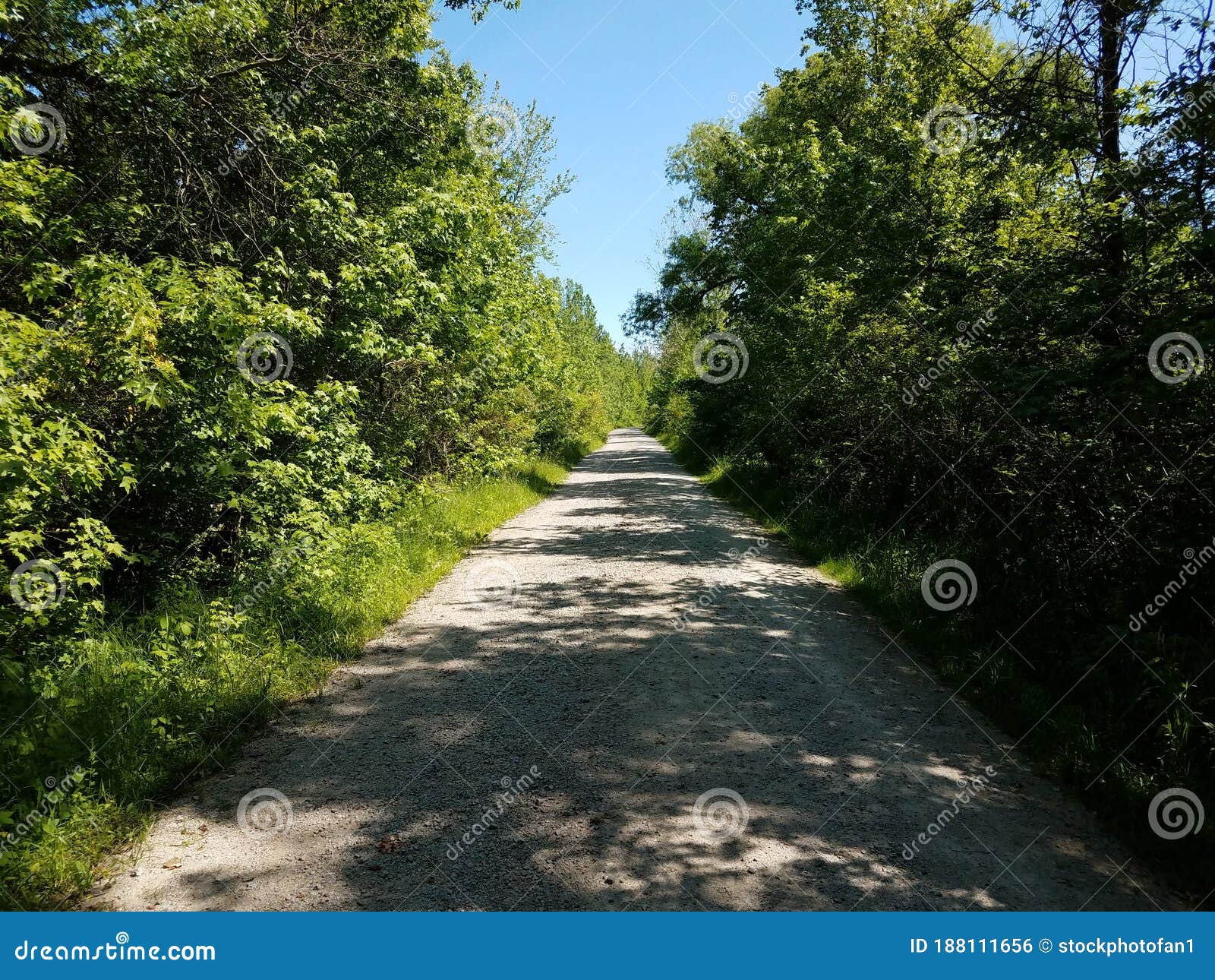 Trail or Path with Green Trees and Plants Stock Photo - Image of stones ...
