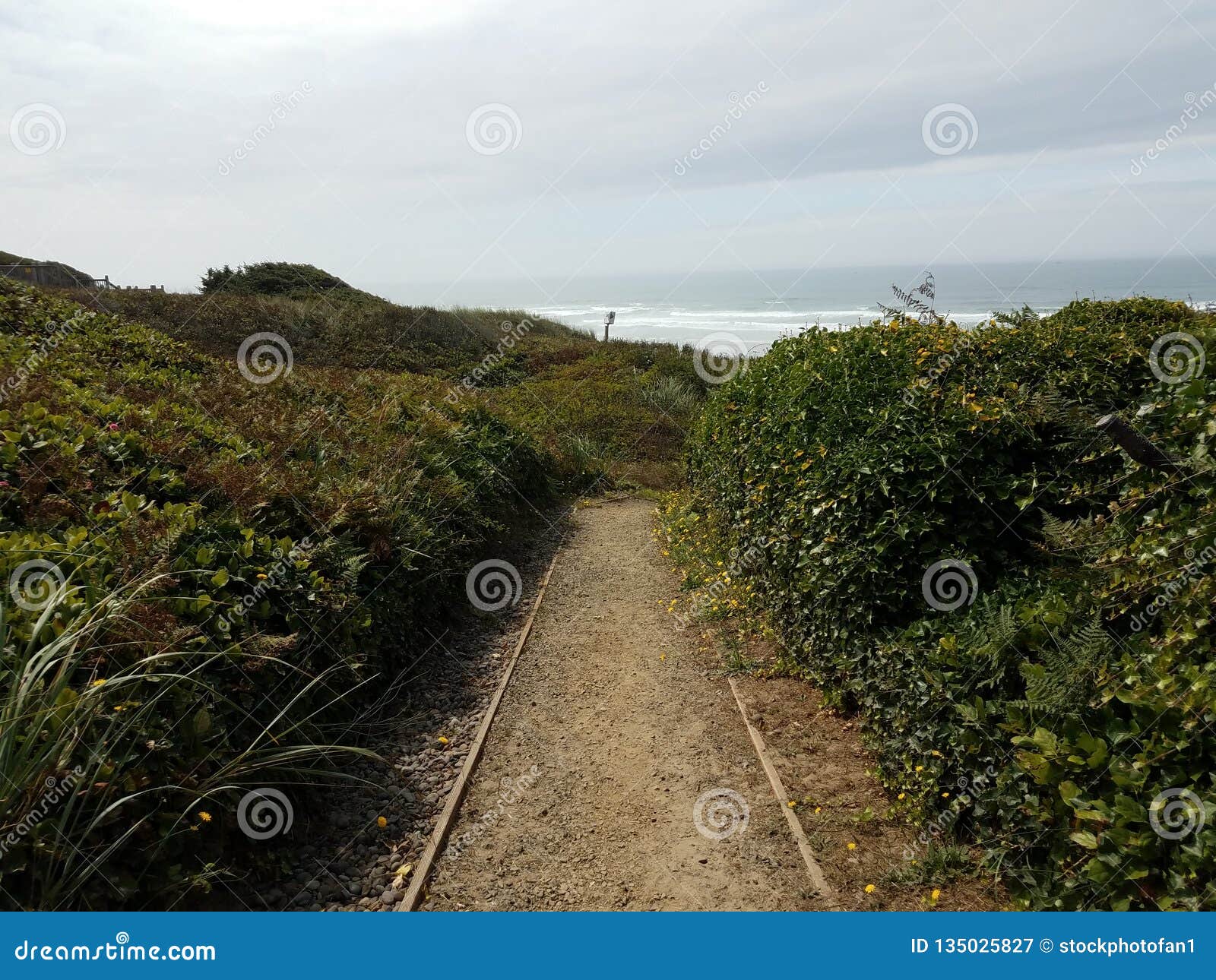 Trail or Path Leading To Beach with Sand and Waves Stock Image - Image ...