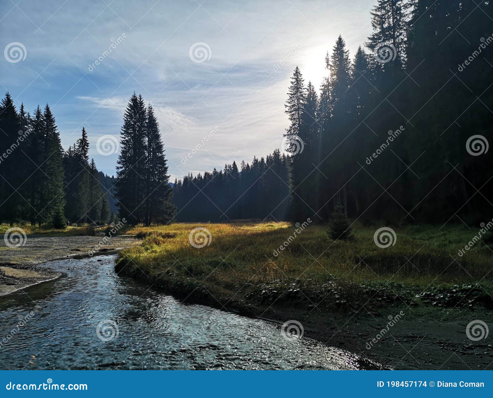 Trail Path Near River in the Mountains Stock Photo - Image of ...