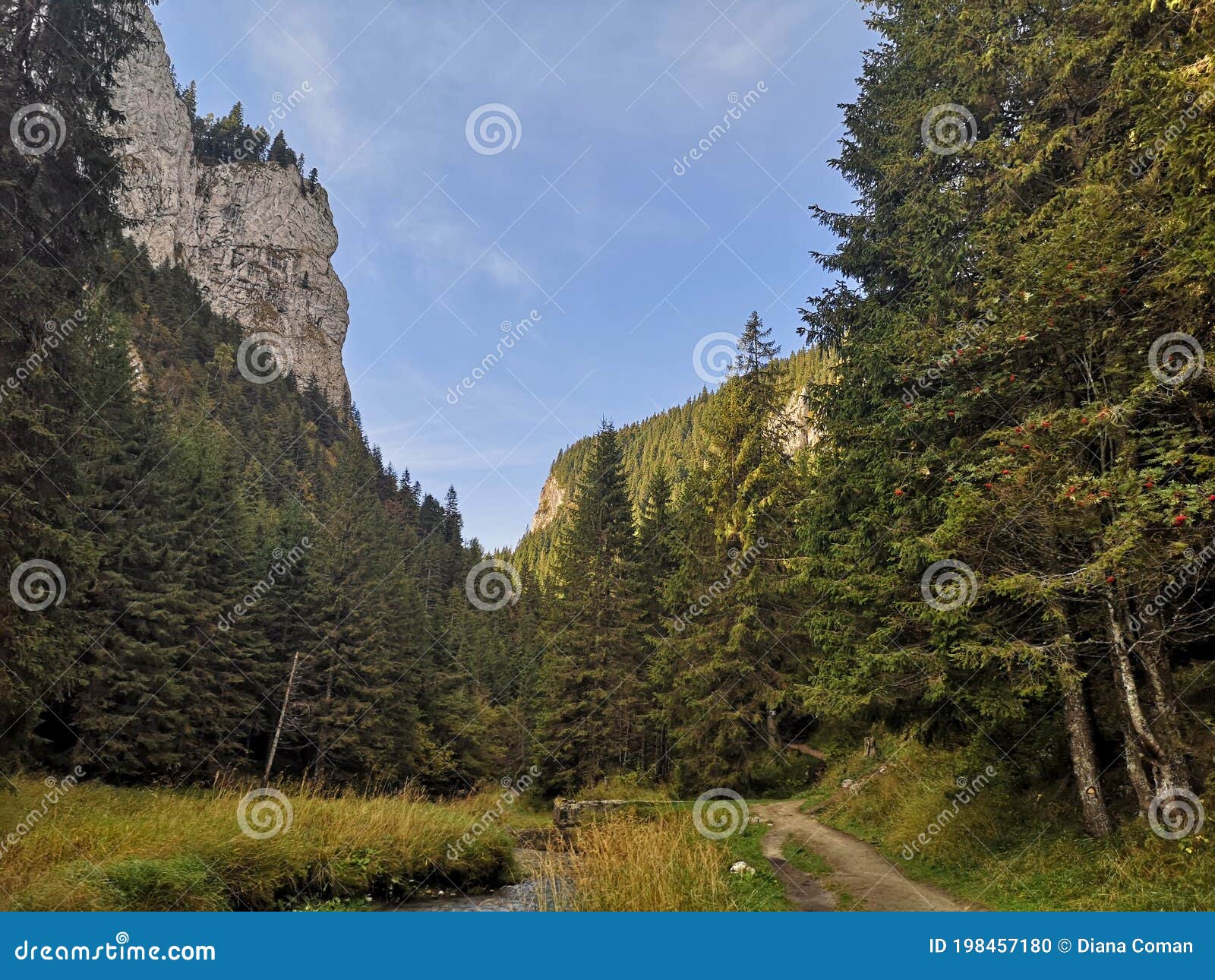 Trail Path Near River in the Mountains Stock Photo - Image of falls ...