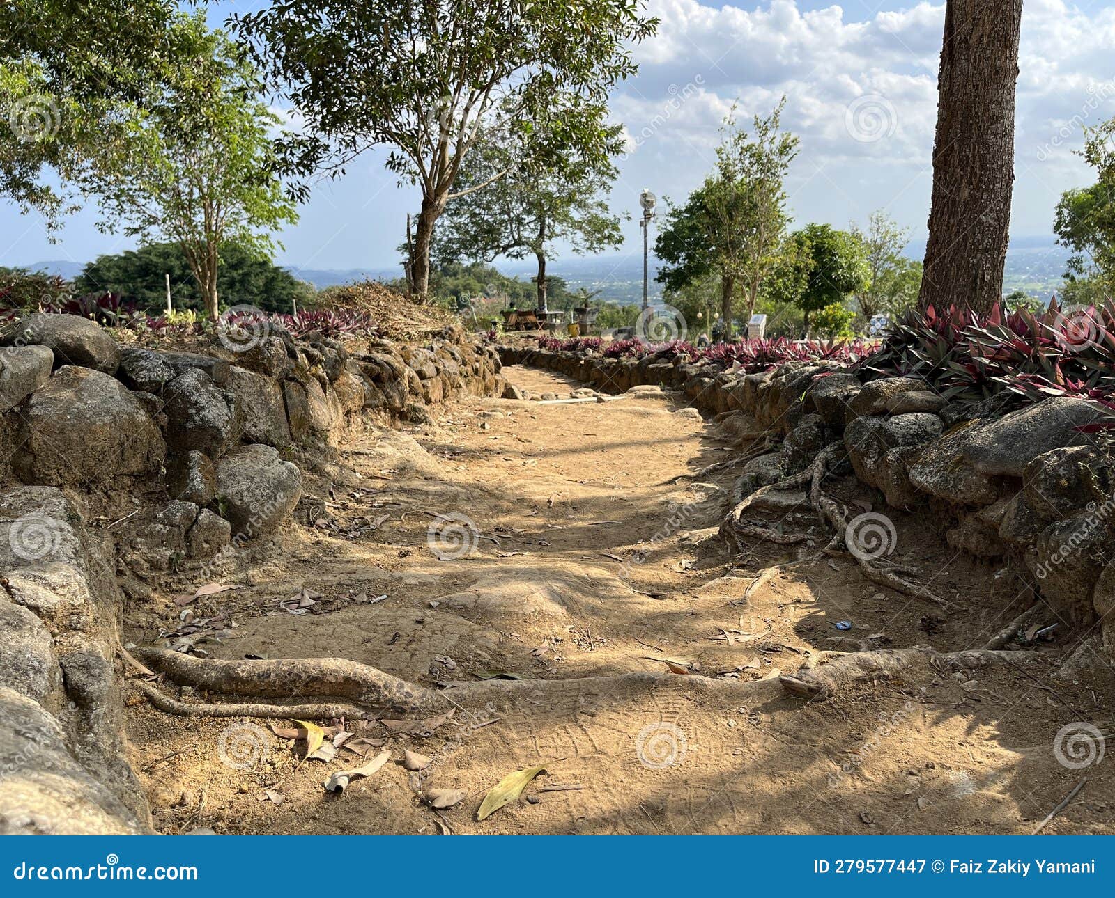 Trail Path with Shoe Prints, Roots and Steep Stone Stock Image - Image ...