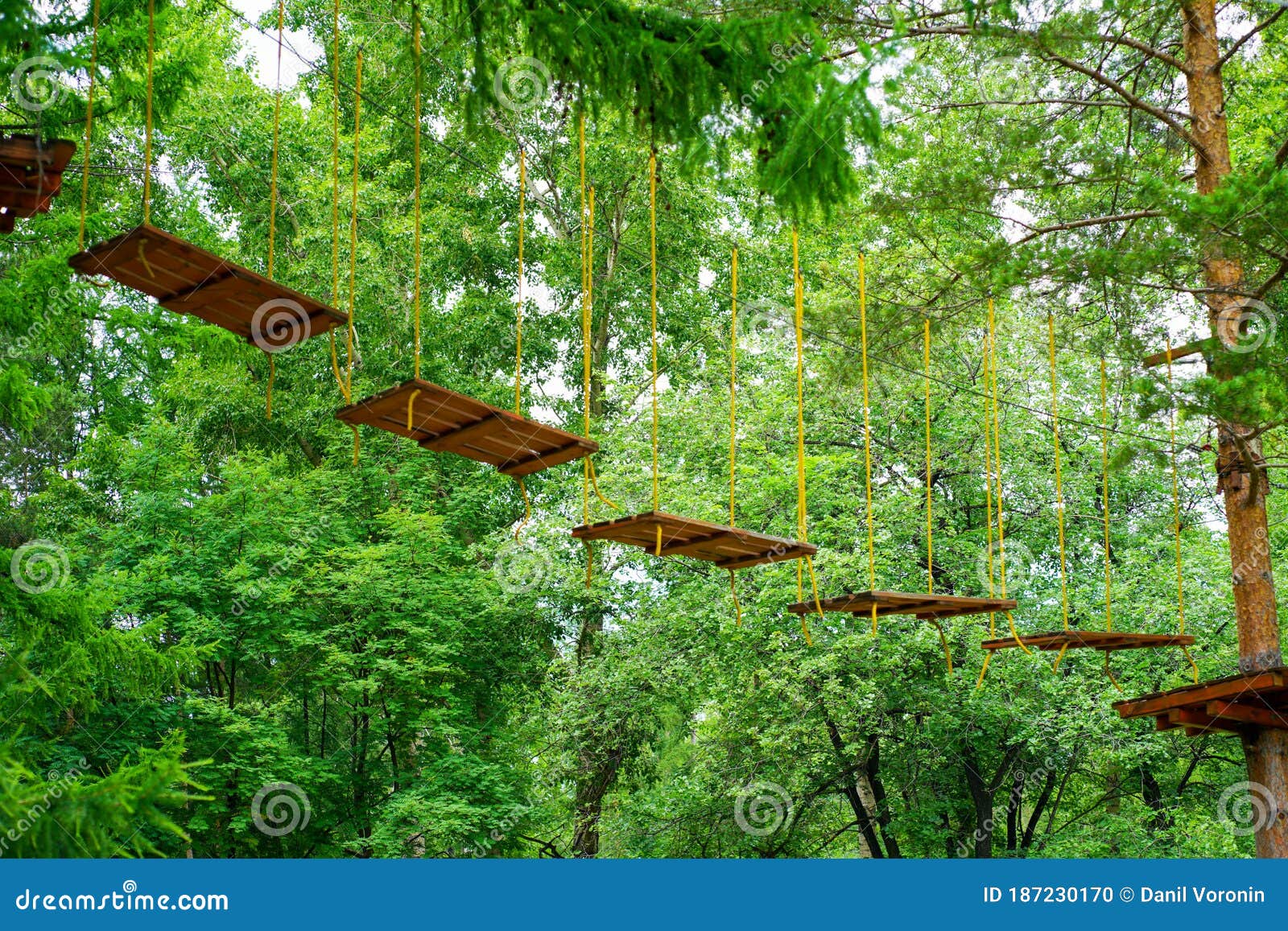 Trail from Platforms To Trees Stock Photo - Image of building, trail ...