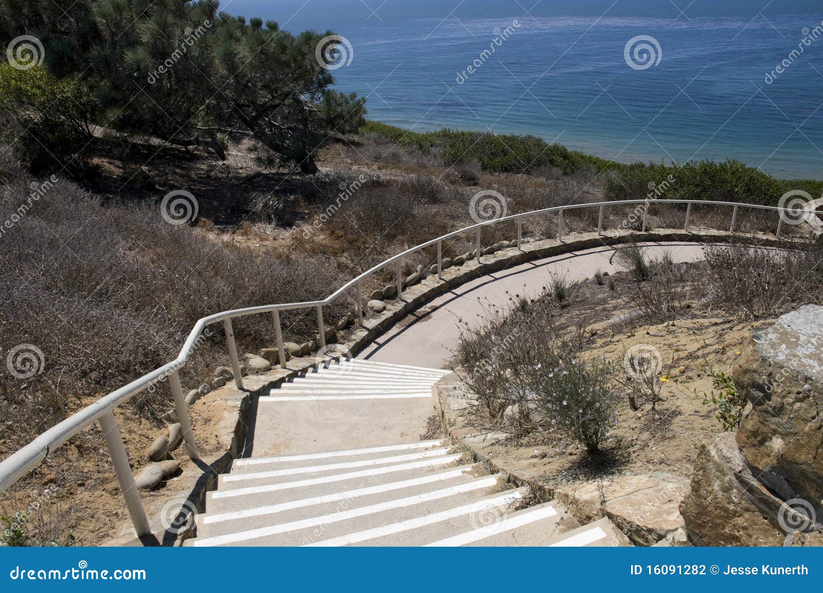 Trail at Point Loma stock photo. Image of point, trail - 16091282