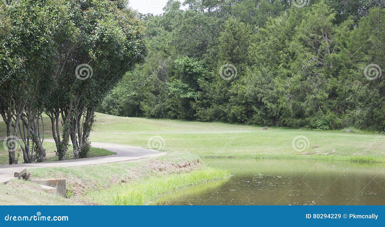 Bayou Golf Course Stock Photos - Free & Royalty-Free Stock Photos from ...