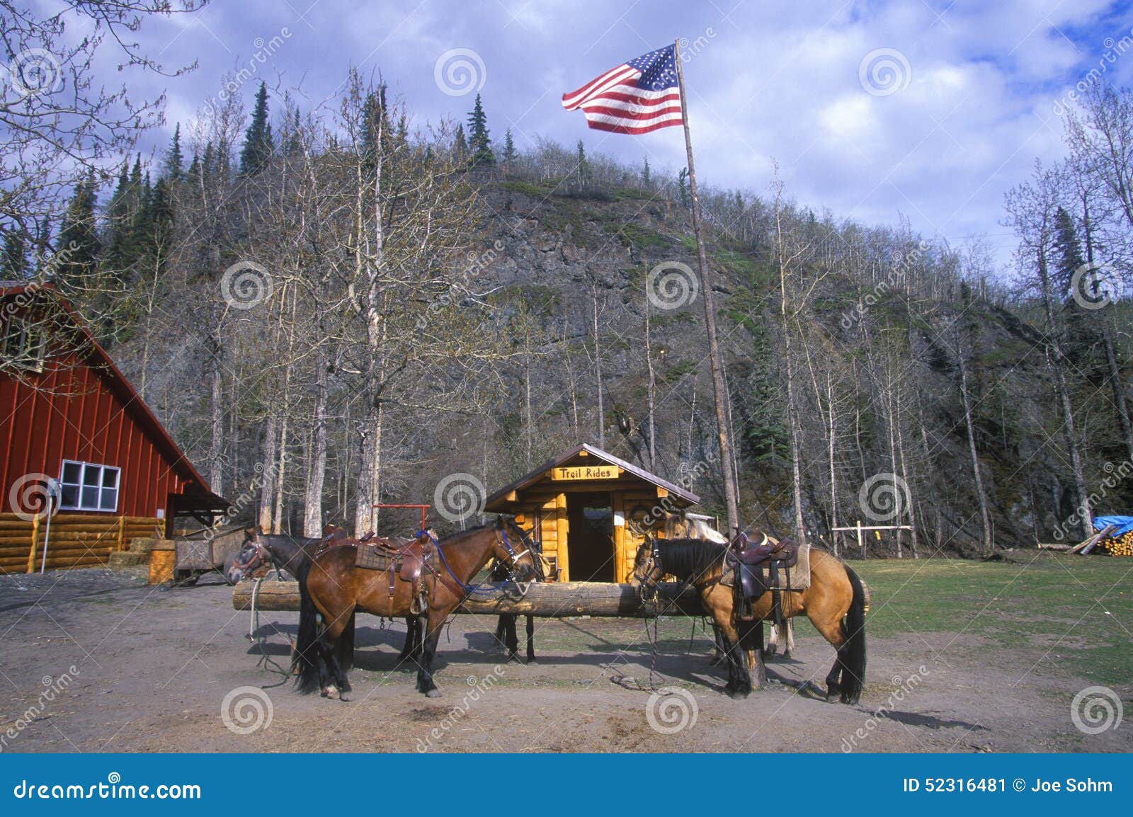 Trail Ride Tourist Attraction, Alaska Stock Image - Image of western ...