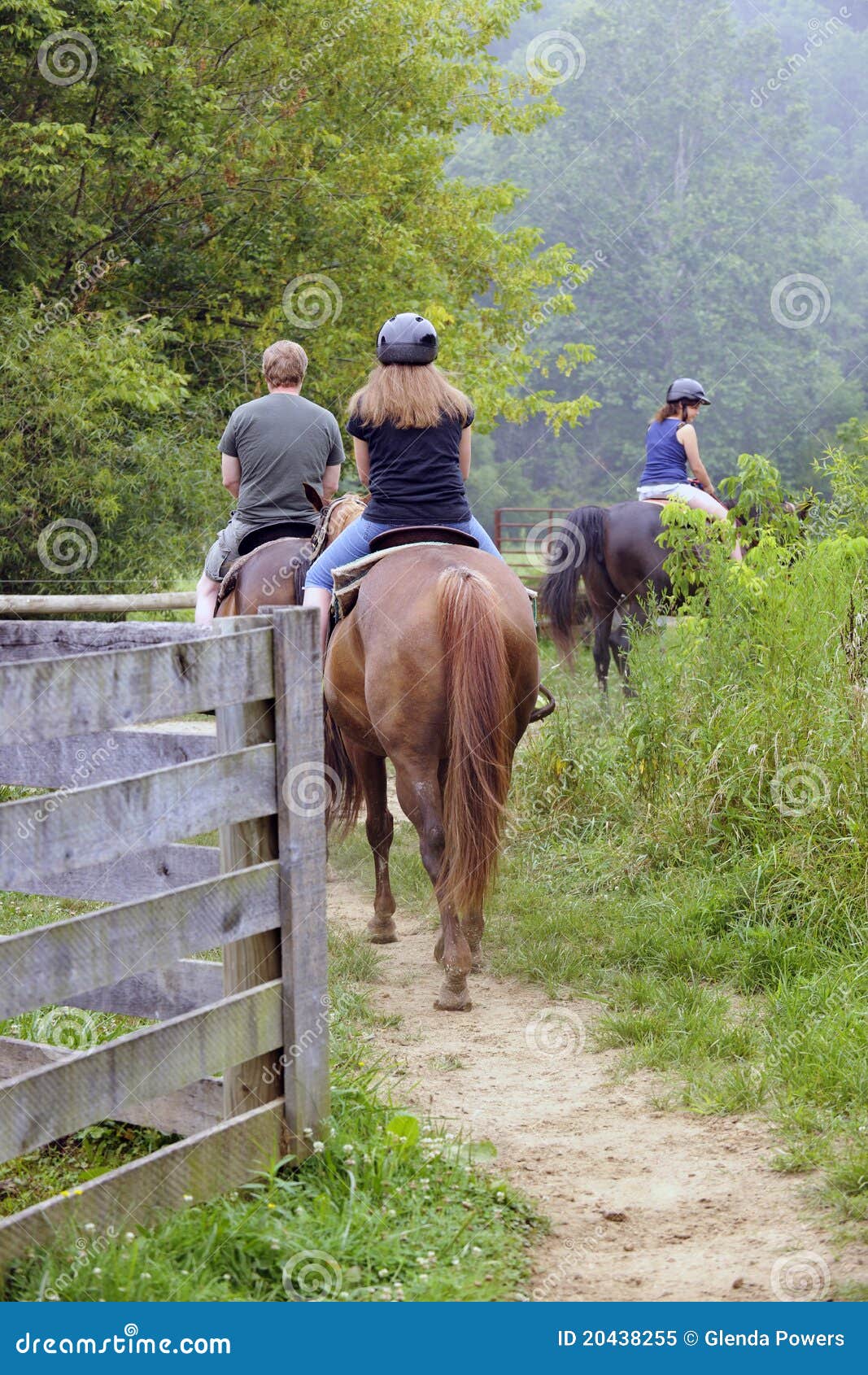 Trail Riders stock image. Image of father, ride, teenagers - 20438255