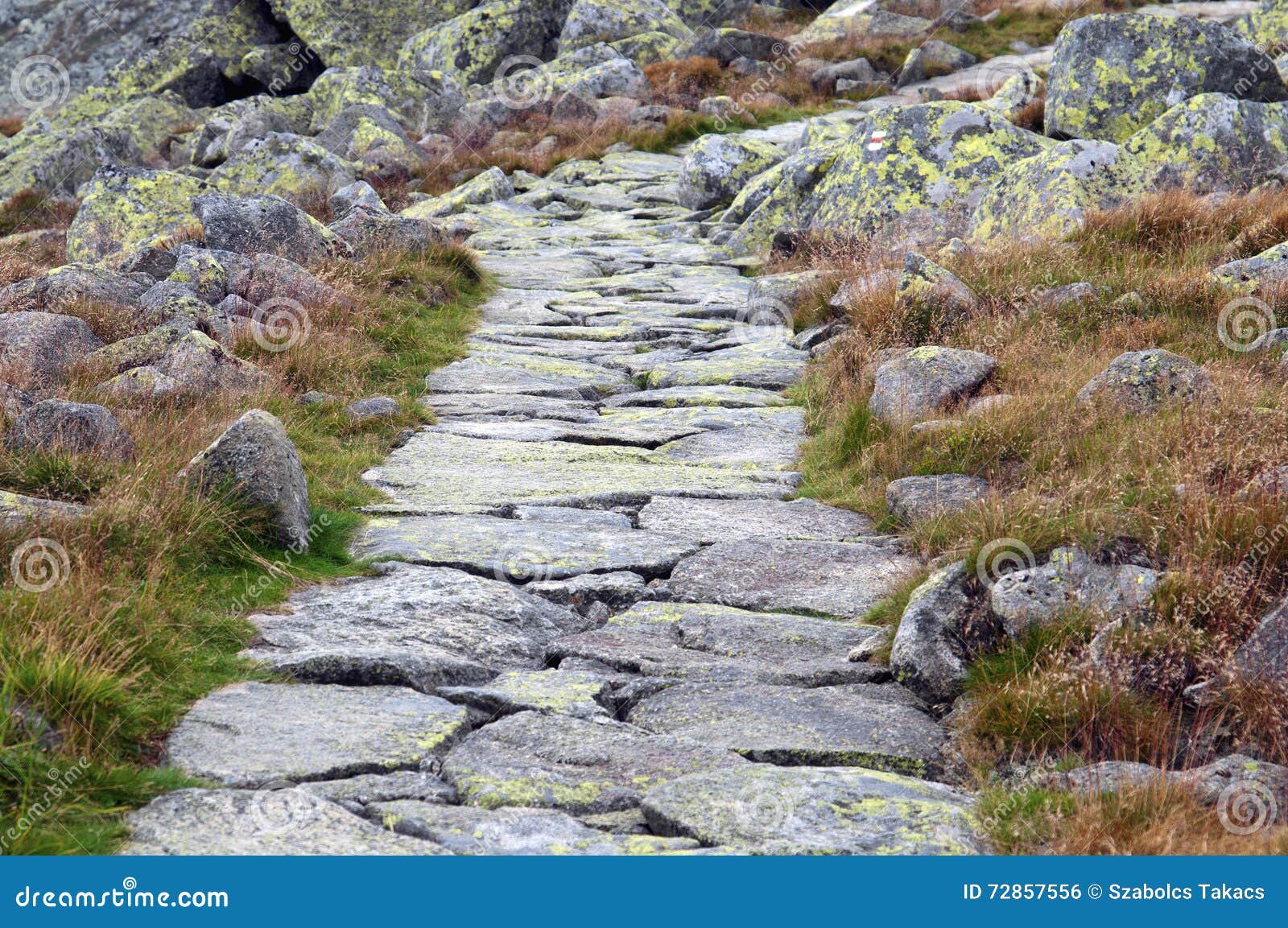 Trail from Rocks in the Mountains Stock Photo - Image of environment ...