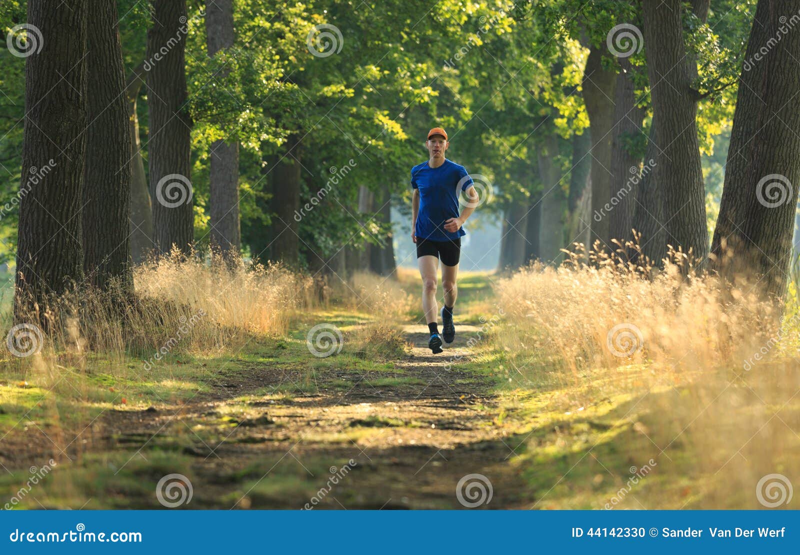 Trail Run Lane Stock Photo | CartoonDealer.com #44142330