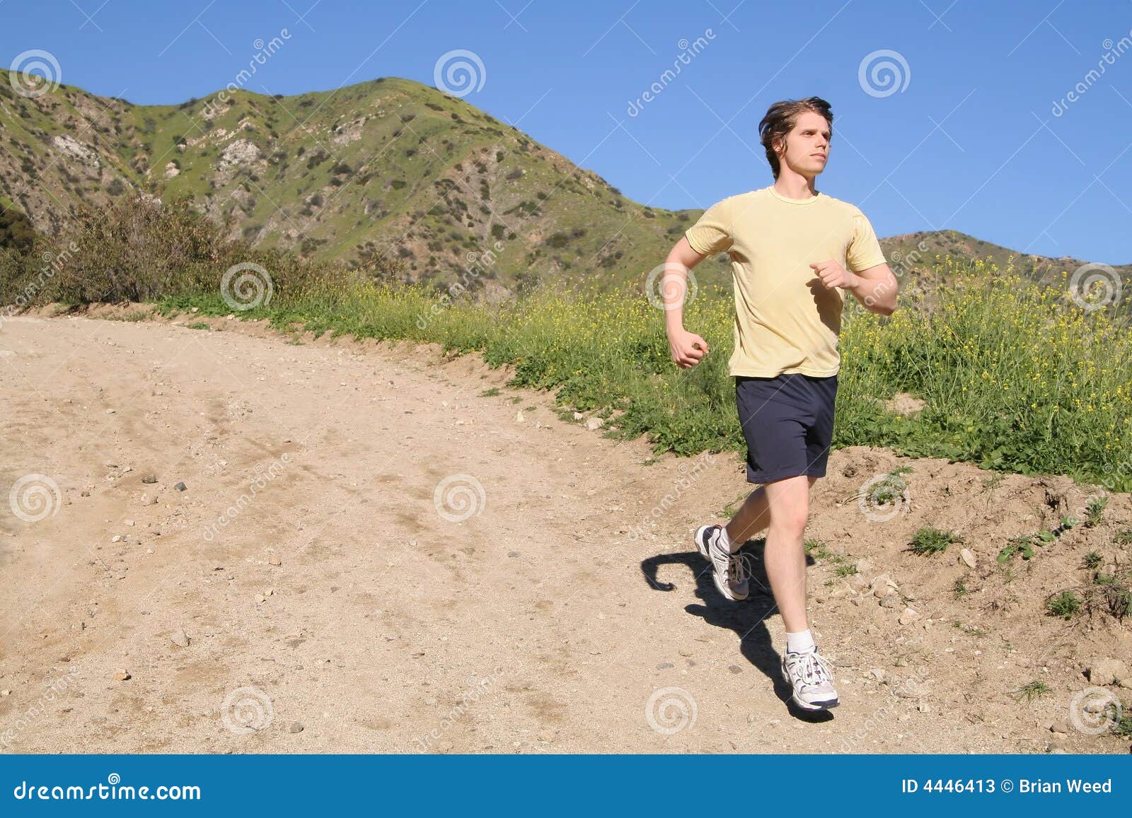 Trail Runner stock image. Image of athlete, lifestyle - 4446413