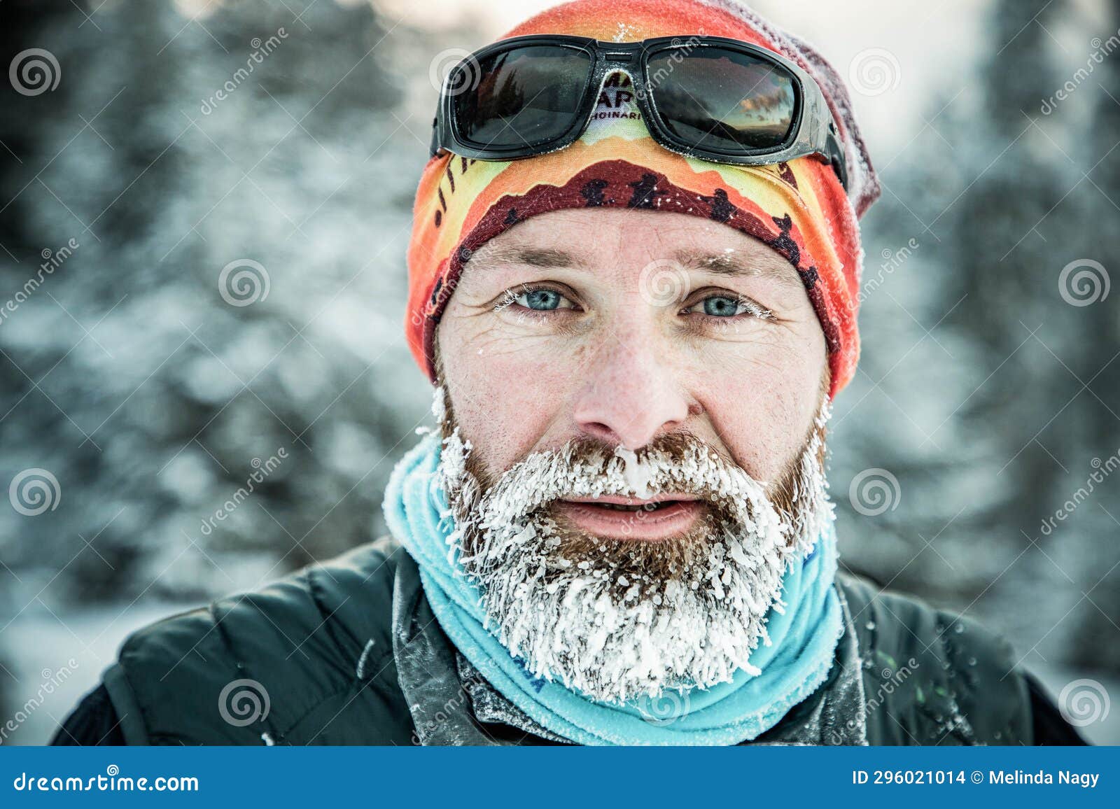 Trail Runner with Frozen Beard Training in Winter Landscape Stock Photo ...