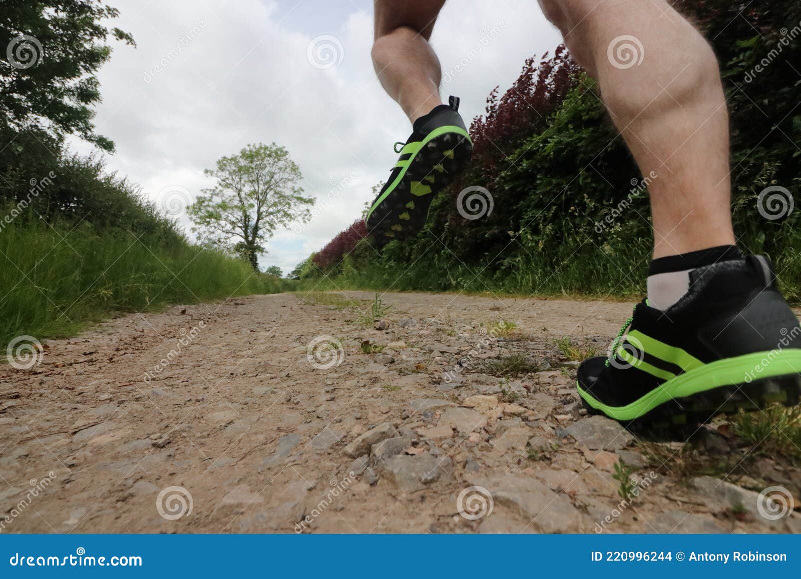 Trail Runner Running Down a Track Stock Photo - Image of determination ...