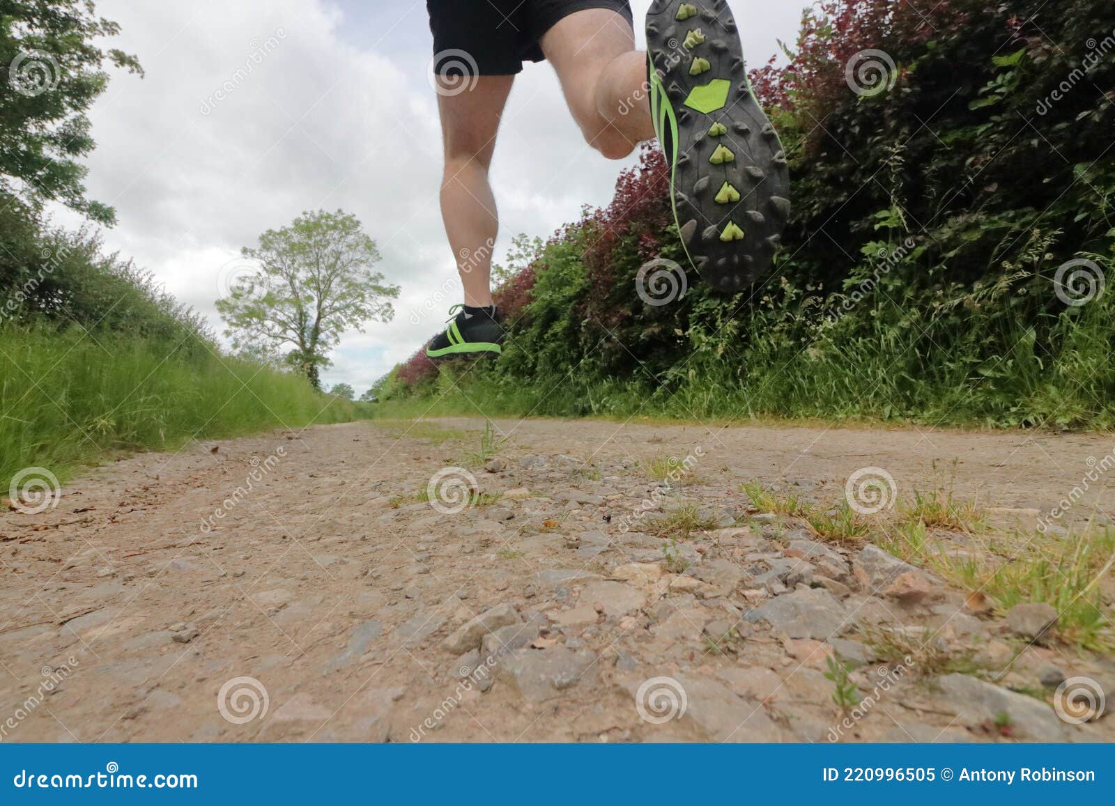 Trail Runner Running Down a Track Stock Image - Image of path, country ...