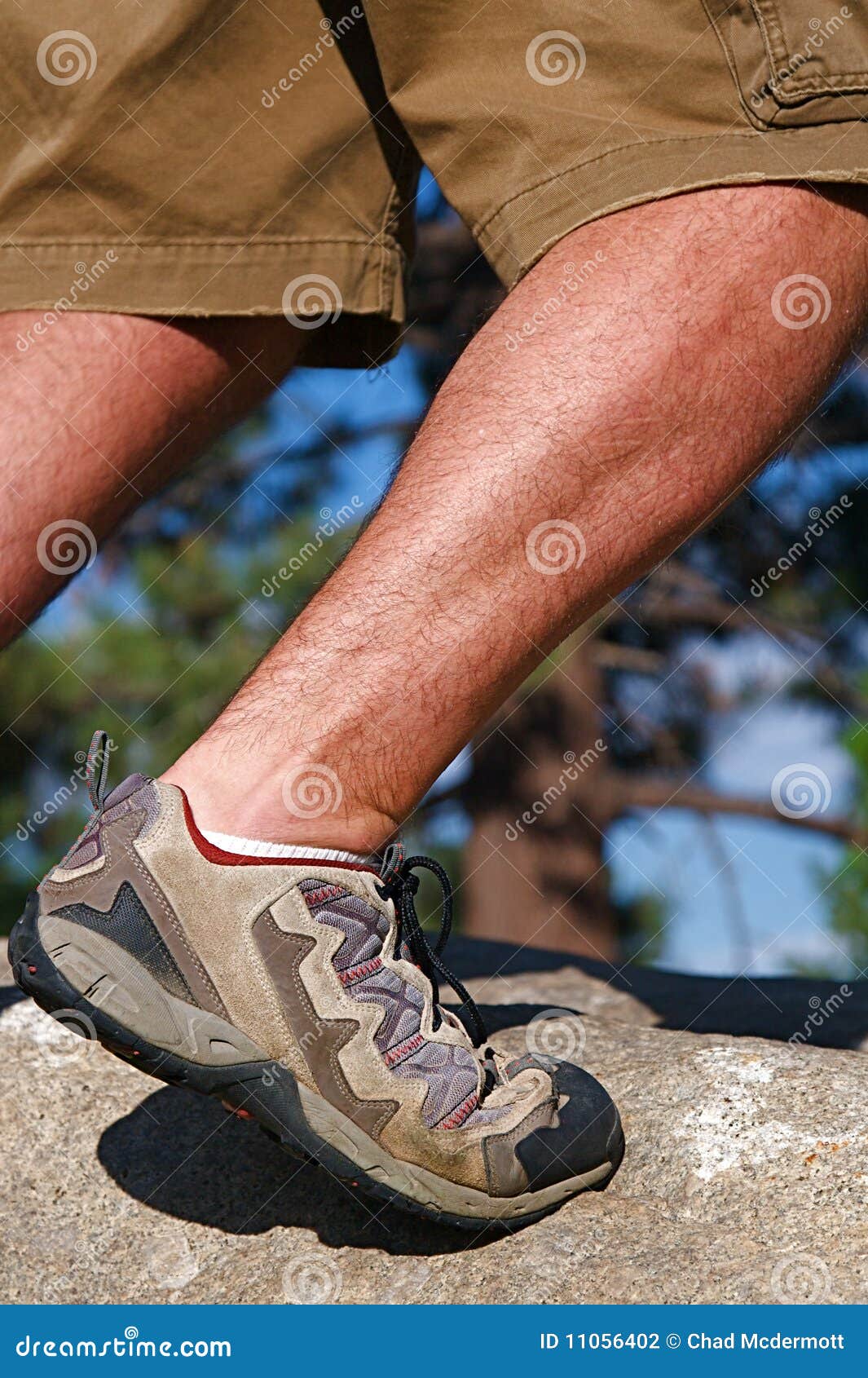 Trail Running stock photo. Image of forest, adventure - 11056402