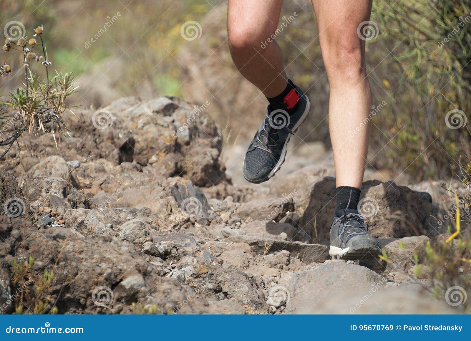 Trail Running Man on Mountain Path Exercising Stock Image - Image of ...