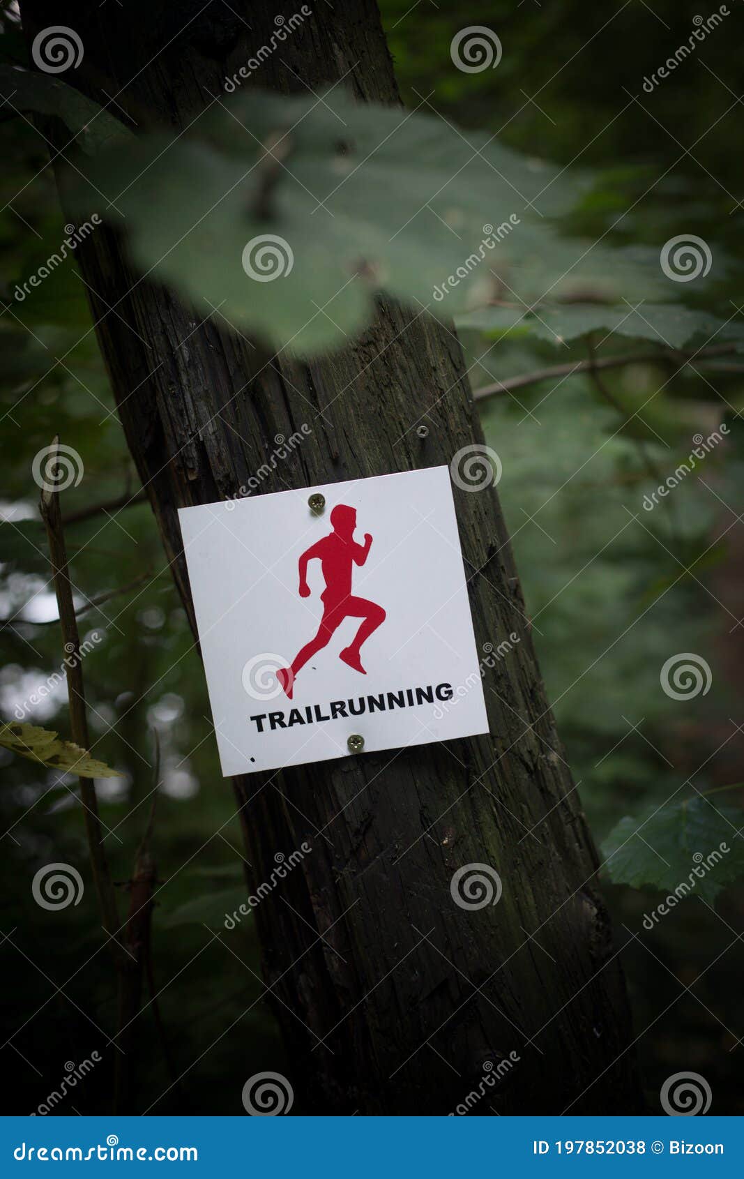 Trail Running Track Mark on a Tree Stock Photo - Image of people, paint ...