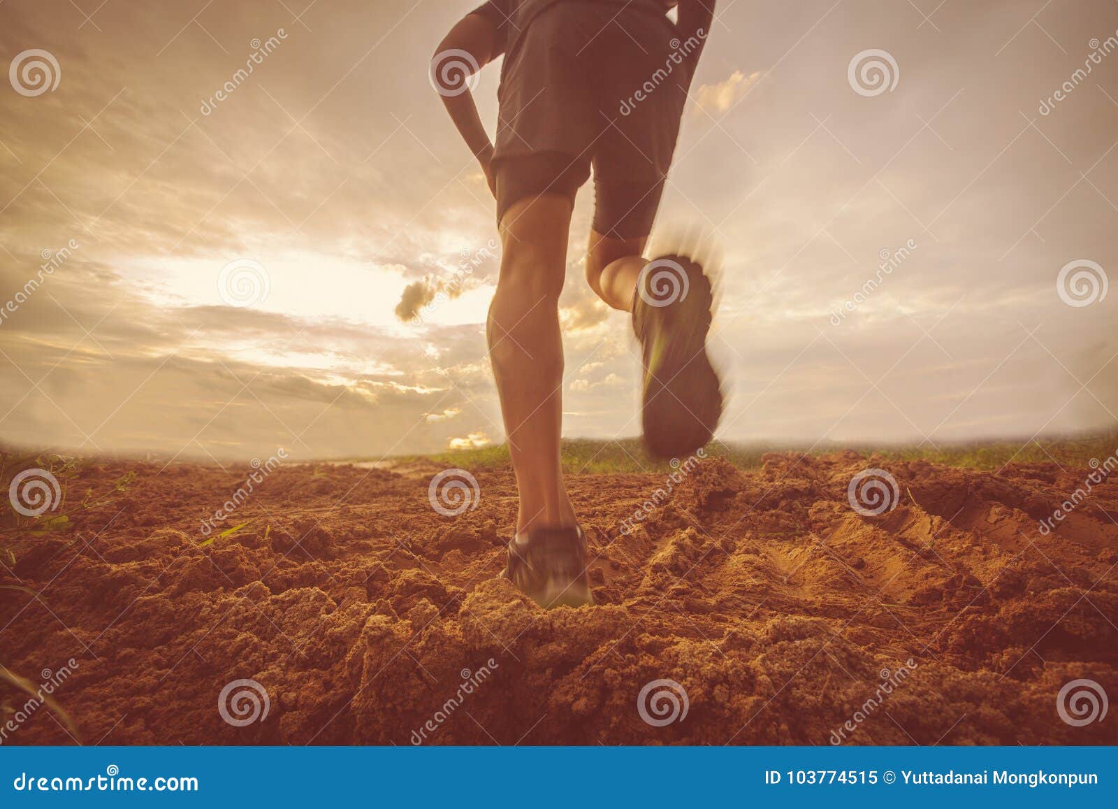 Trail running stock image. Image of athletic, sunset - 103774515