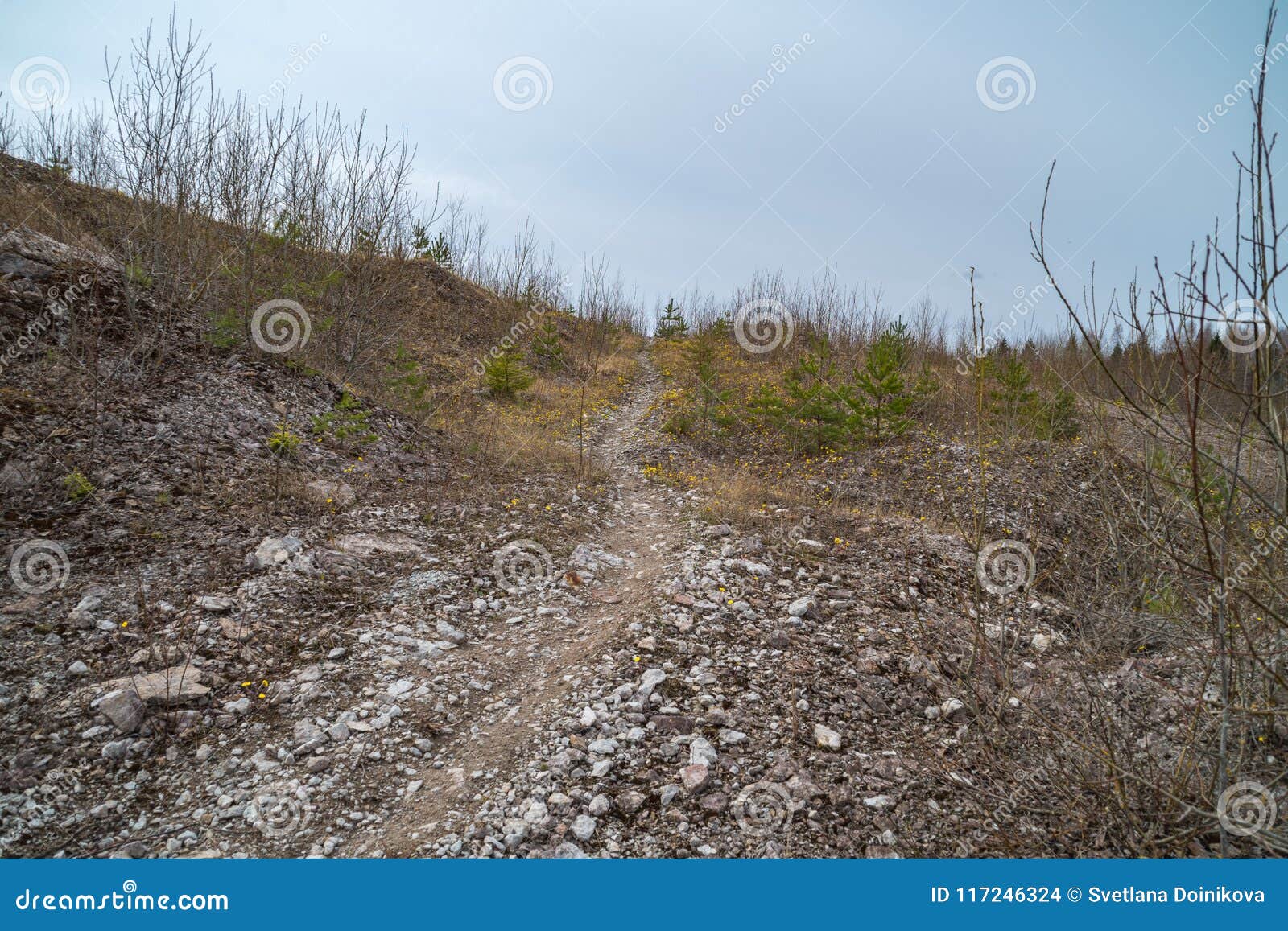 Trail through the scree stock photo. Image of trailway - 117246324