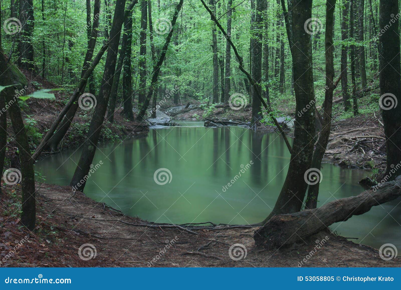 Trail side pool stock image. Image of side, green, stream - 53058805