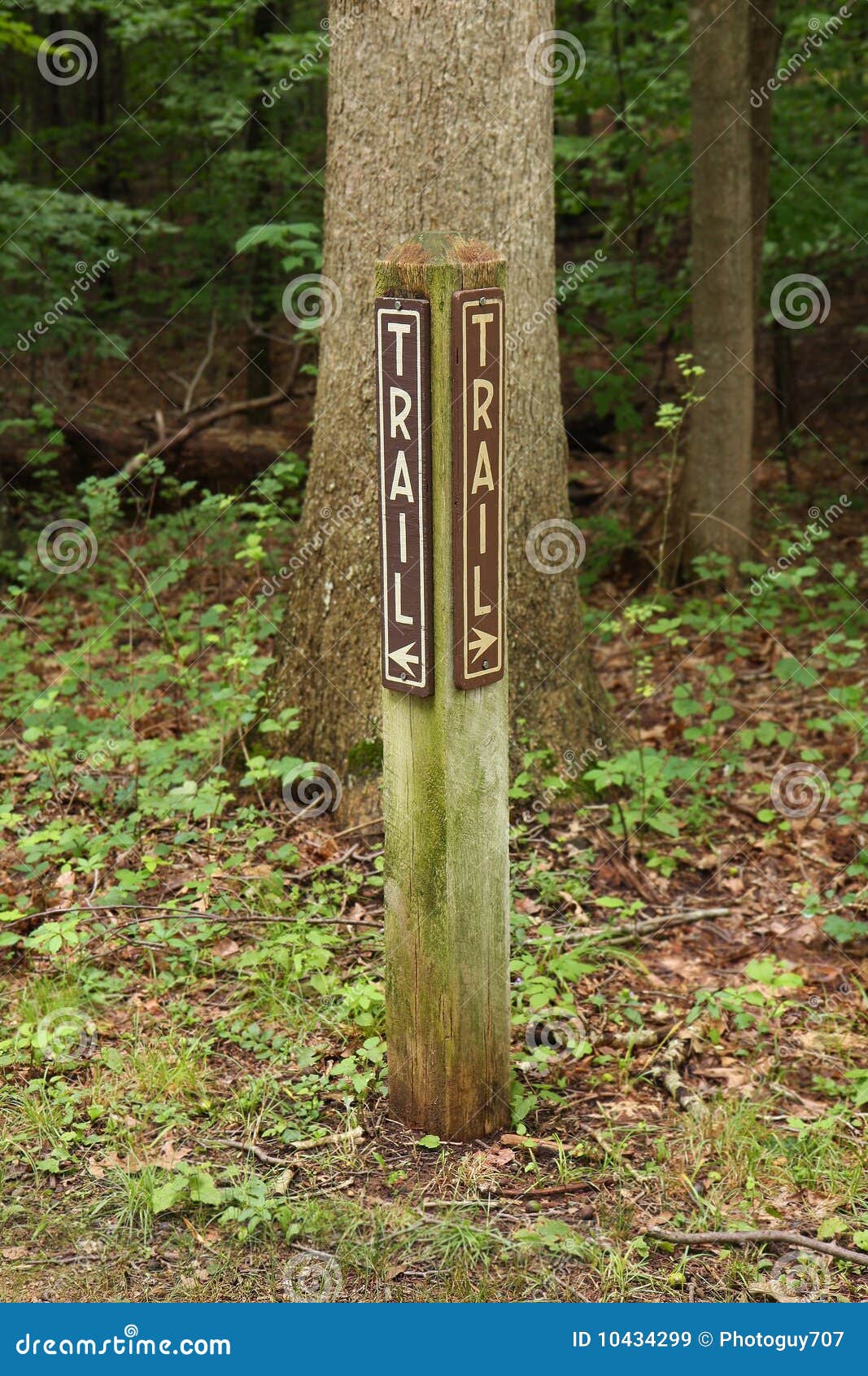Trail sign stock image. Image of footpath, directions - 10434299