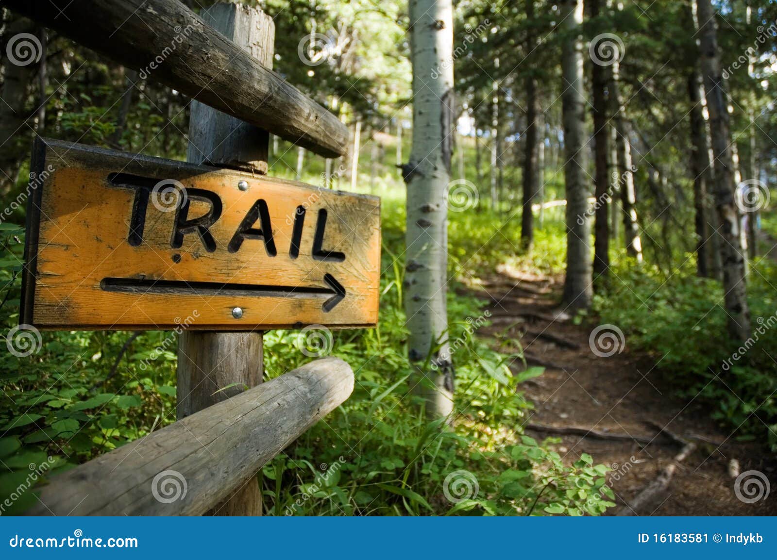 Trail Sign stock image. Image of path, post, pointing - 16183581