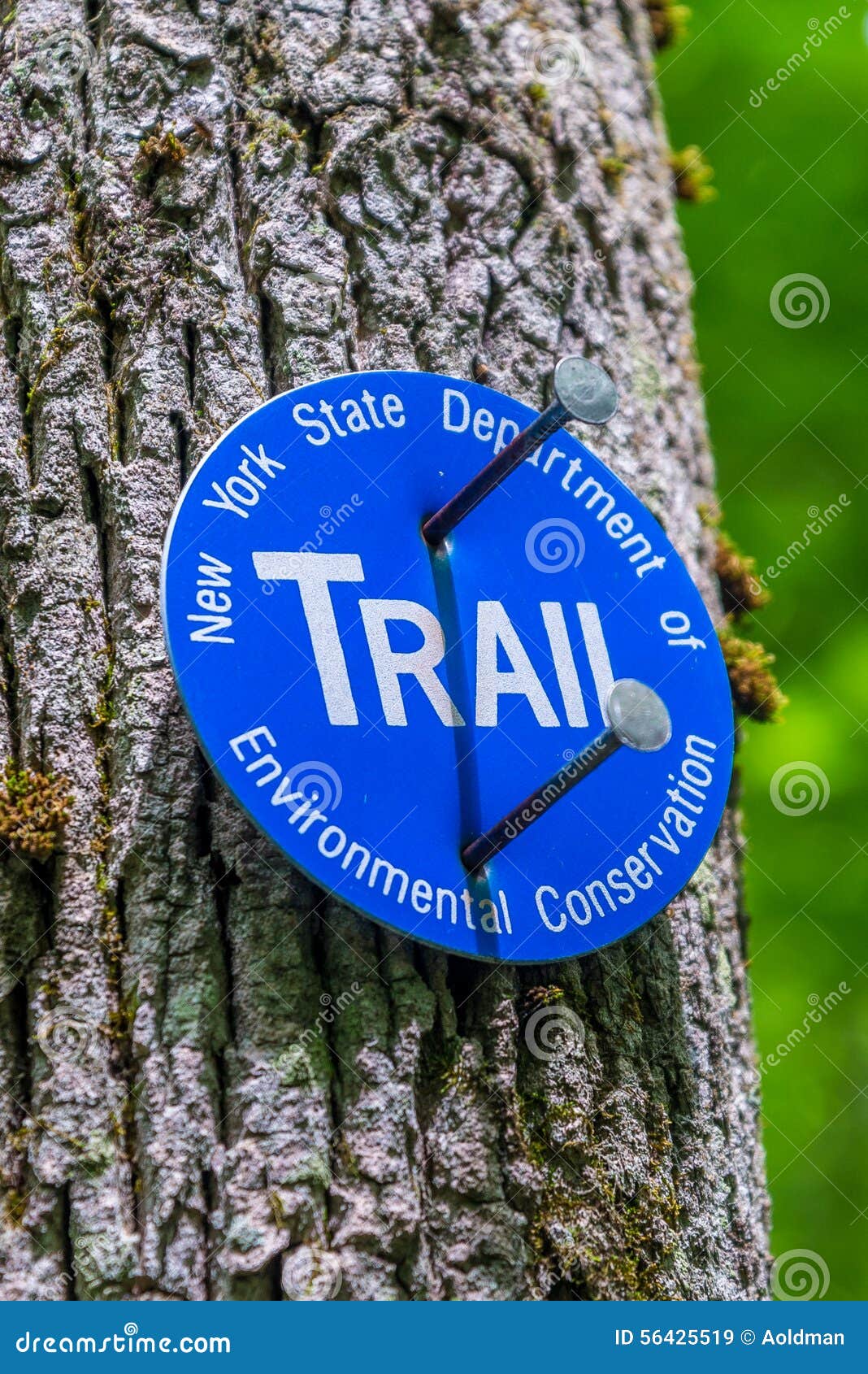 Trail sign stock image. Image of hiking, nature, direction - 56425519