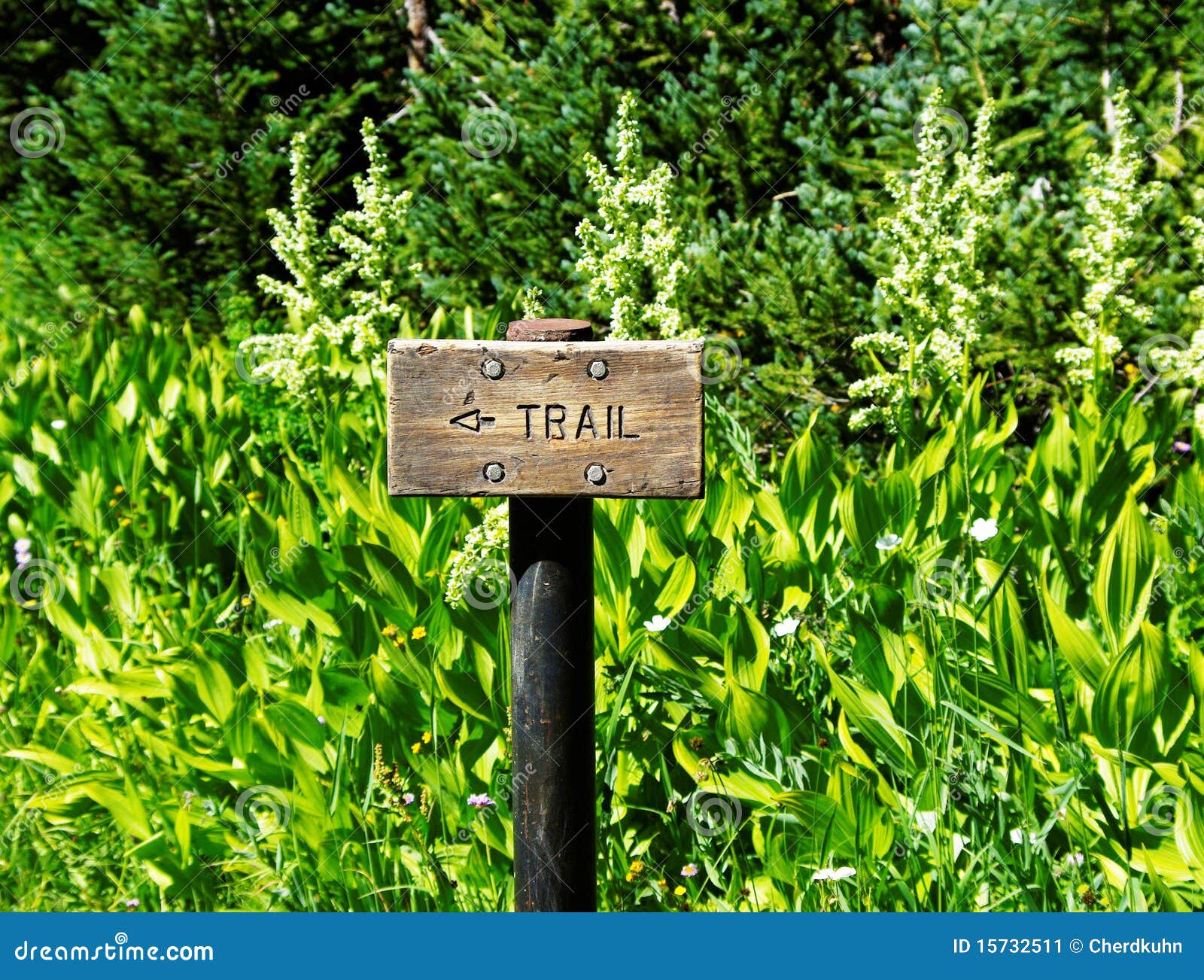 Trail Sign in a Mountain Meadow Stock Image - Image of wooden, arrow ...