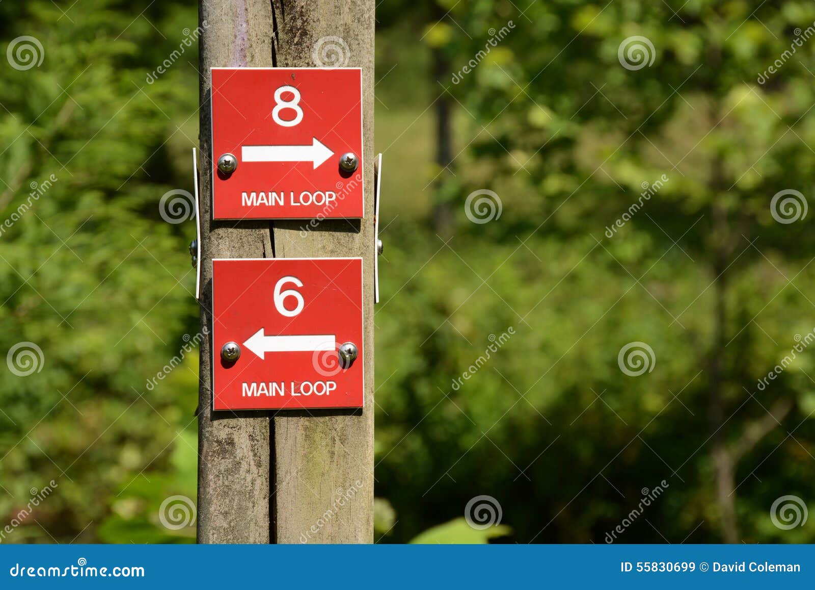 Trail sign stock image. Image of markers, post, sign - 55830699
