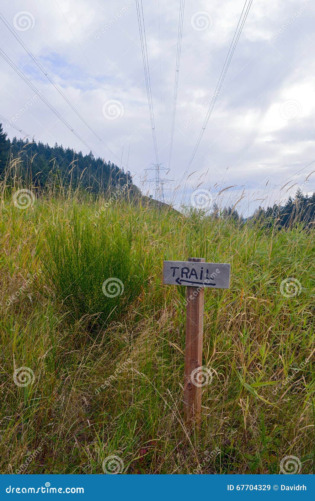 Trail Sign and Power Lines stock image. Image of post - 67704329