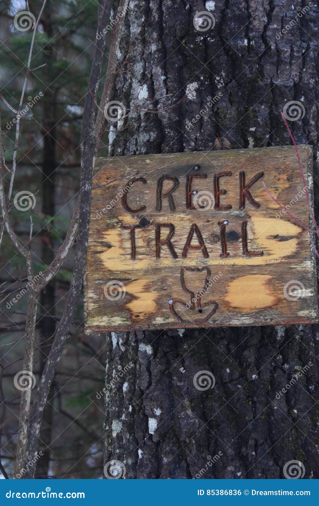 Trail Sign editorial photo. Image of recreation, state - 85386836