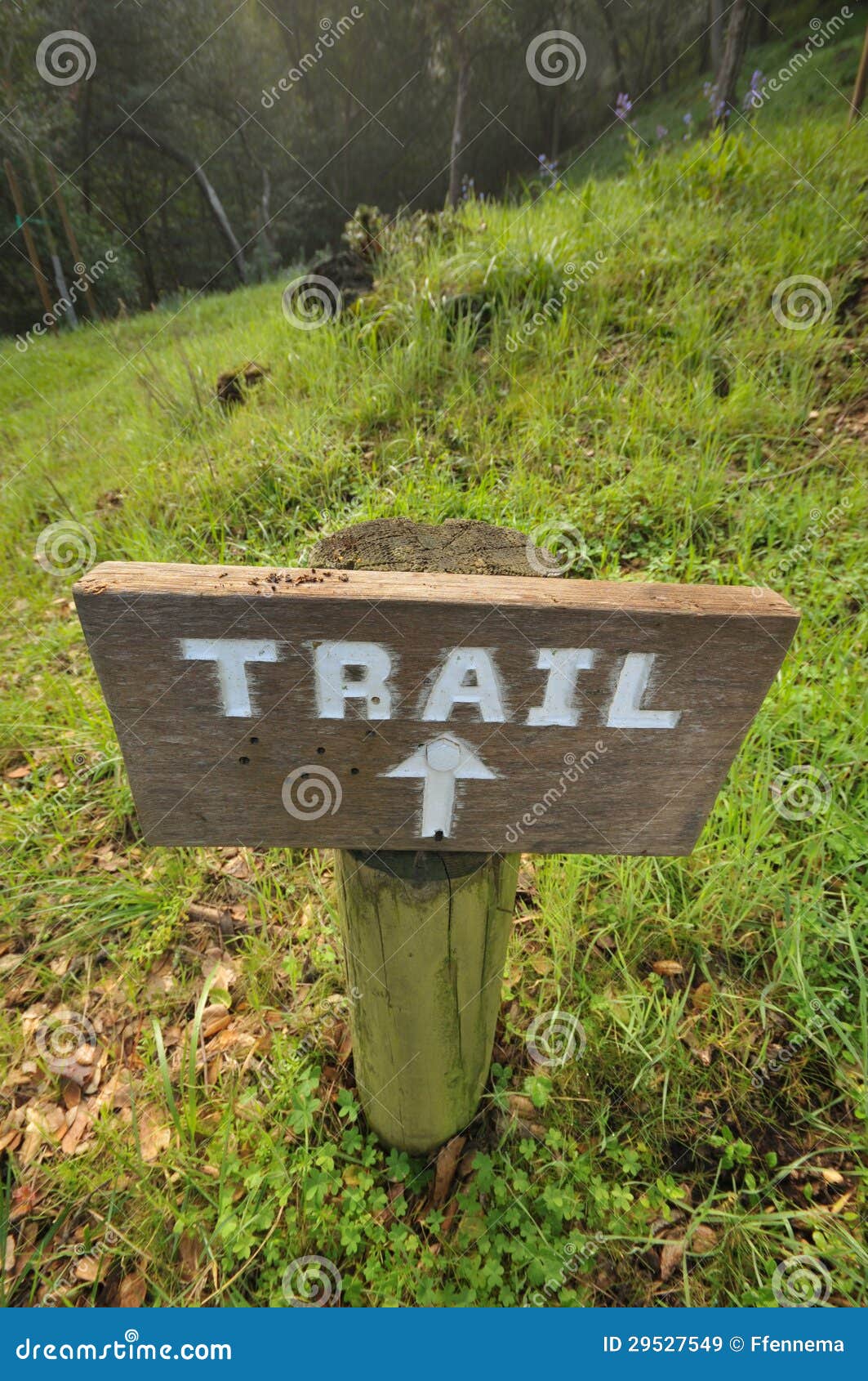Trail Sign in the Woods Pointing Stock Image - Image of peaceful, path ...