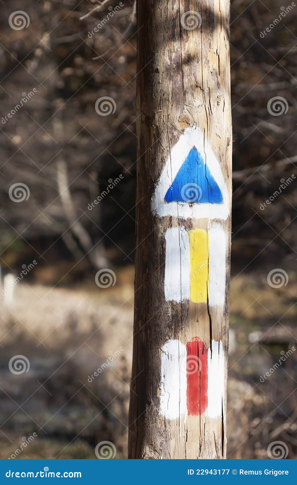 Trail Signs With White Straight Ahead Arrows On Posts Pointing Towards ...
