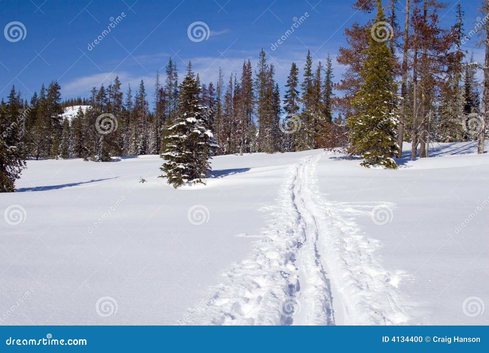 Trail in the Snow stock photo. Image of track, cold, snow - 4134400