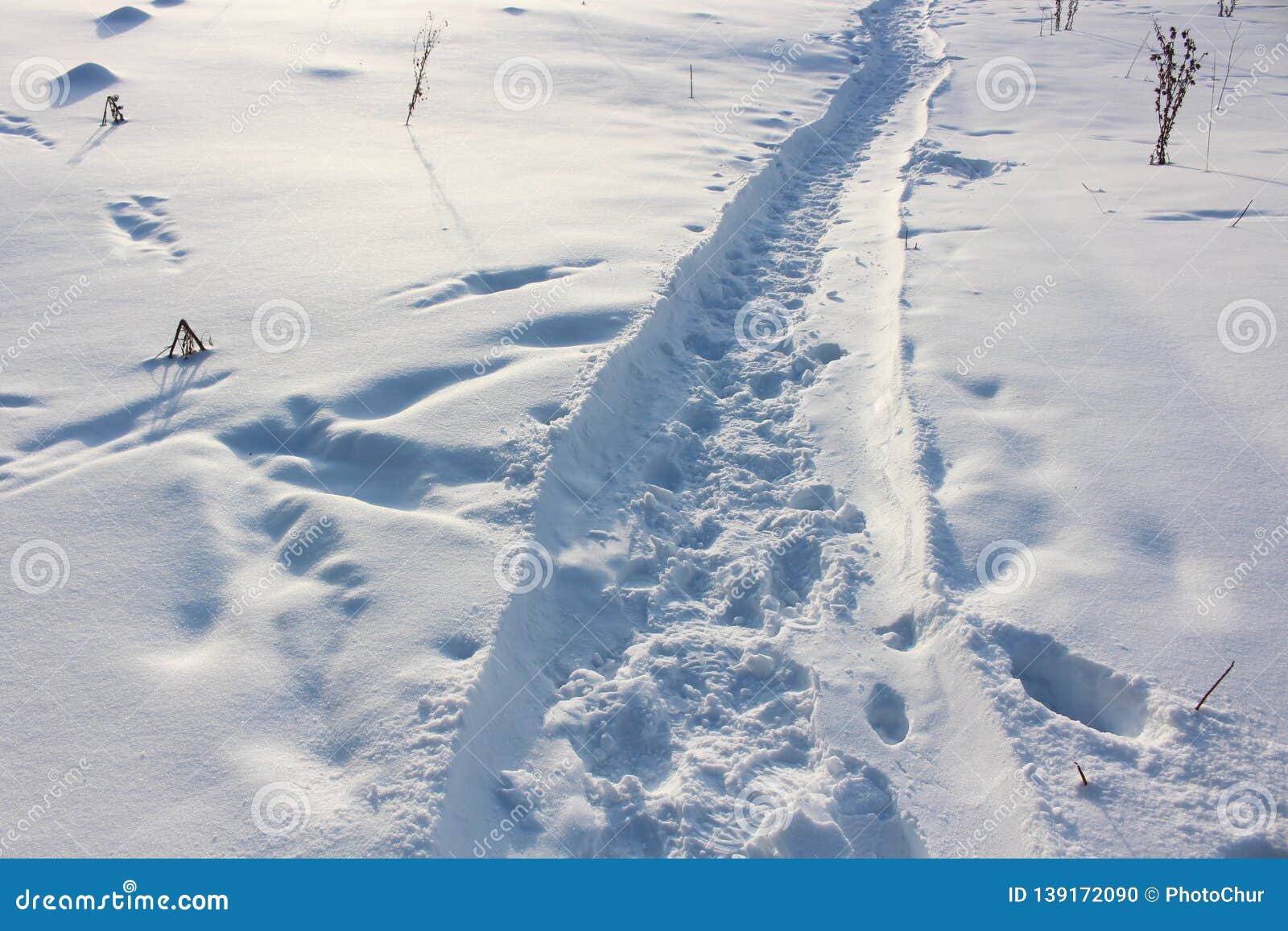 The trail through the snow stock photo. Image of winter - 139172090