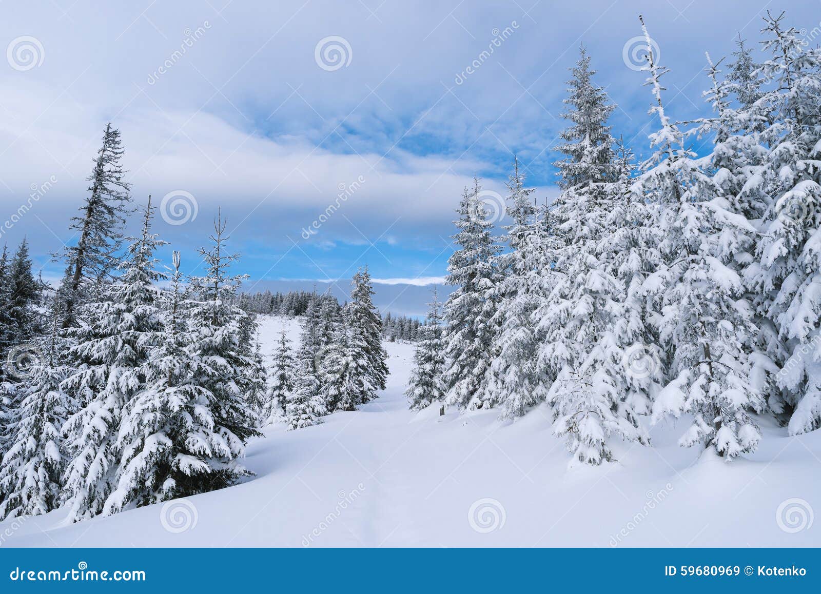Trail in the Snow in the Mountains Stock Image - Image of landscape ...